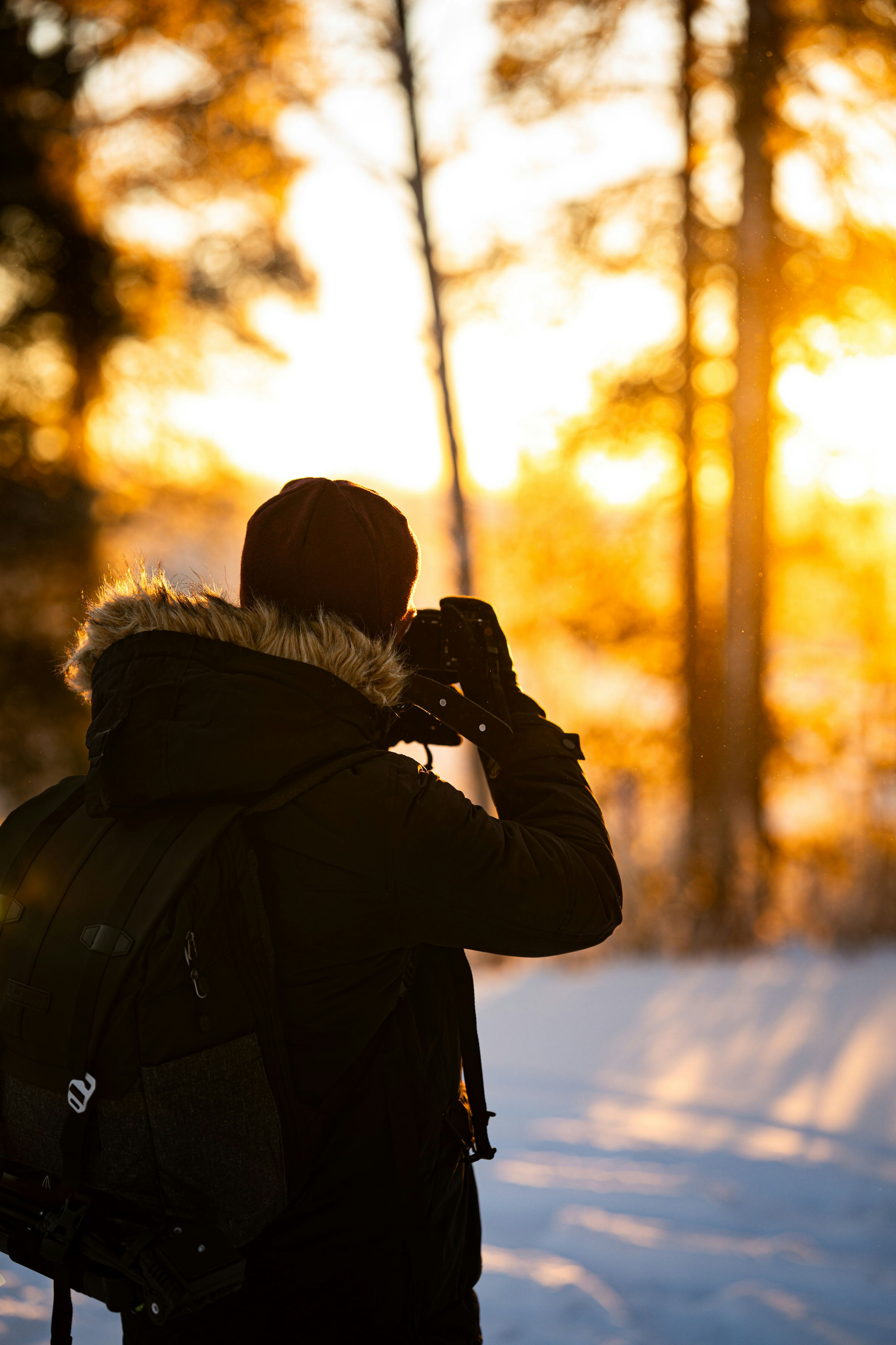 Winter Light: A Photographer Immersed in Golden Hour Silence