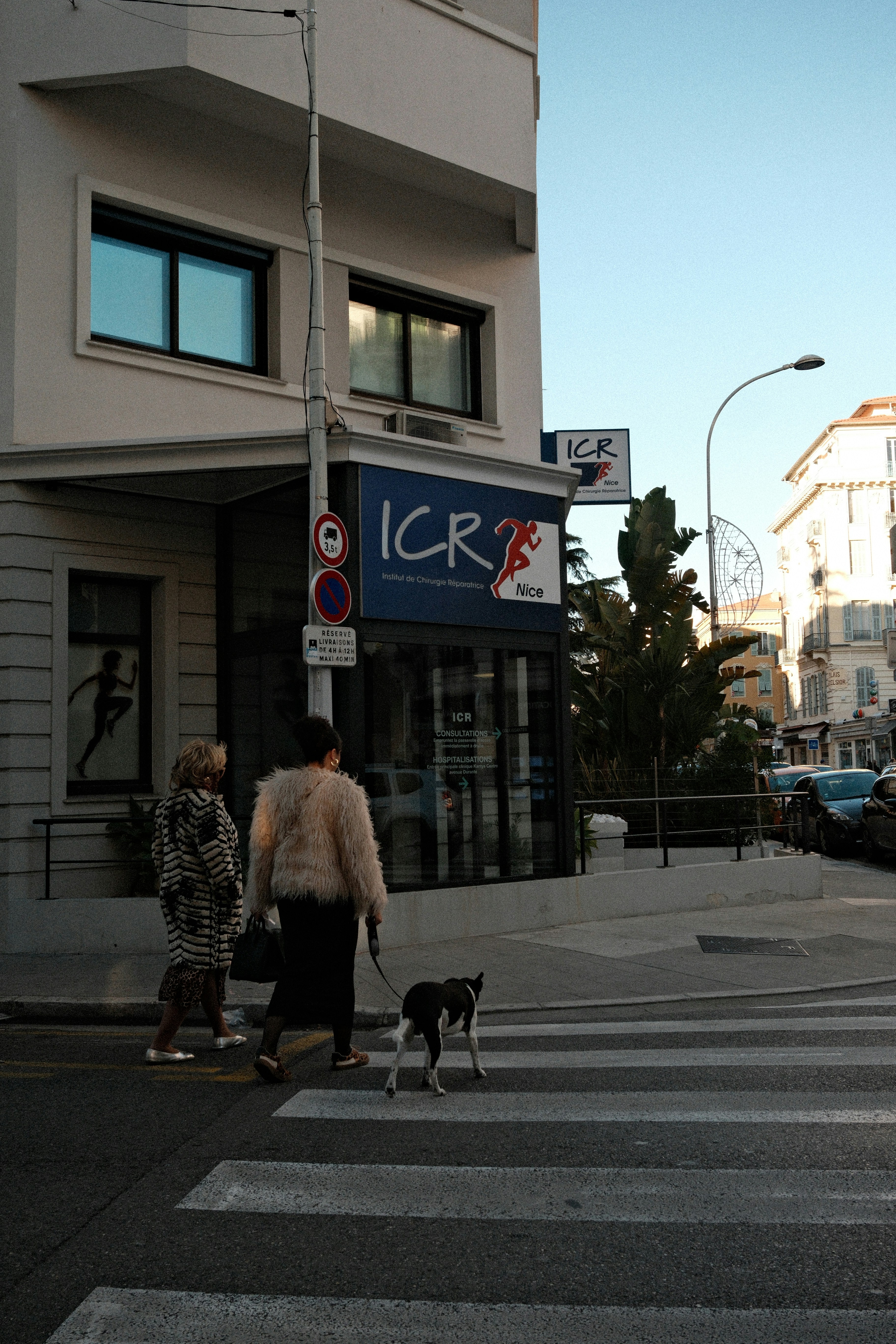 Crosswalk Moment: A Woman and Her Dog Pause at the City Edge
