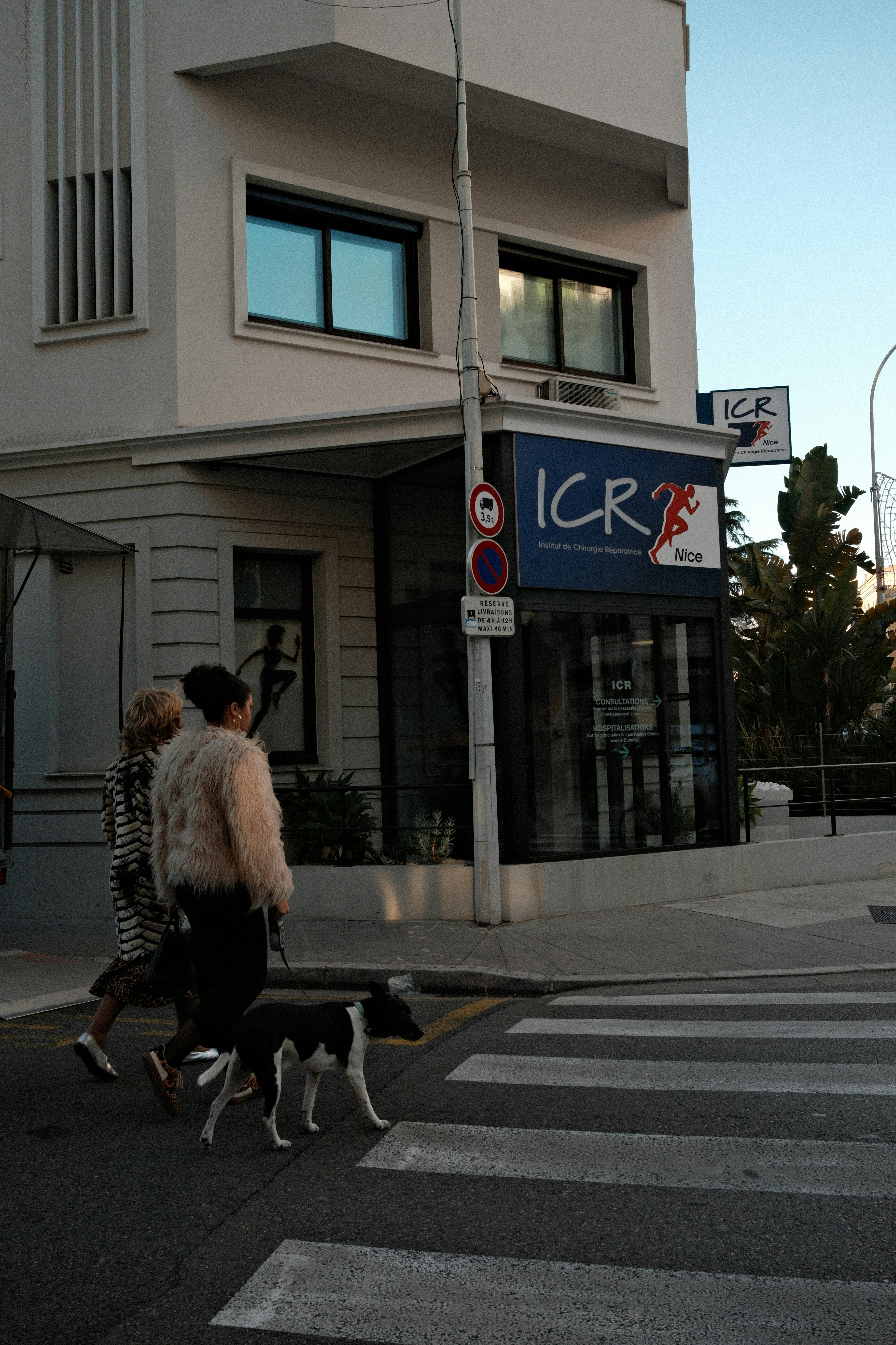 Crosswalk Pulse: Street Scene Near ICR Facade