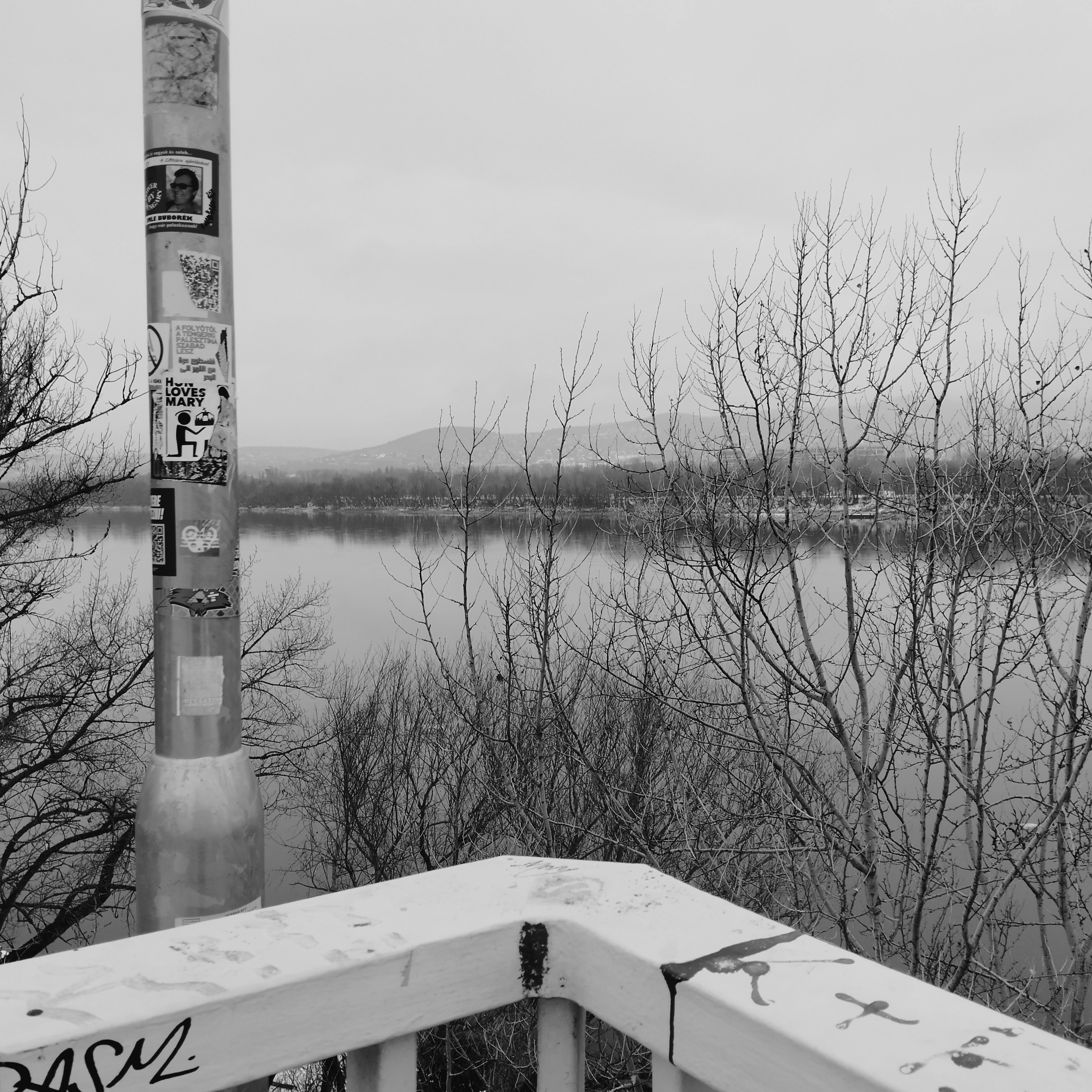 Bare trees line a calm river under an overcast sky.