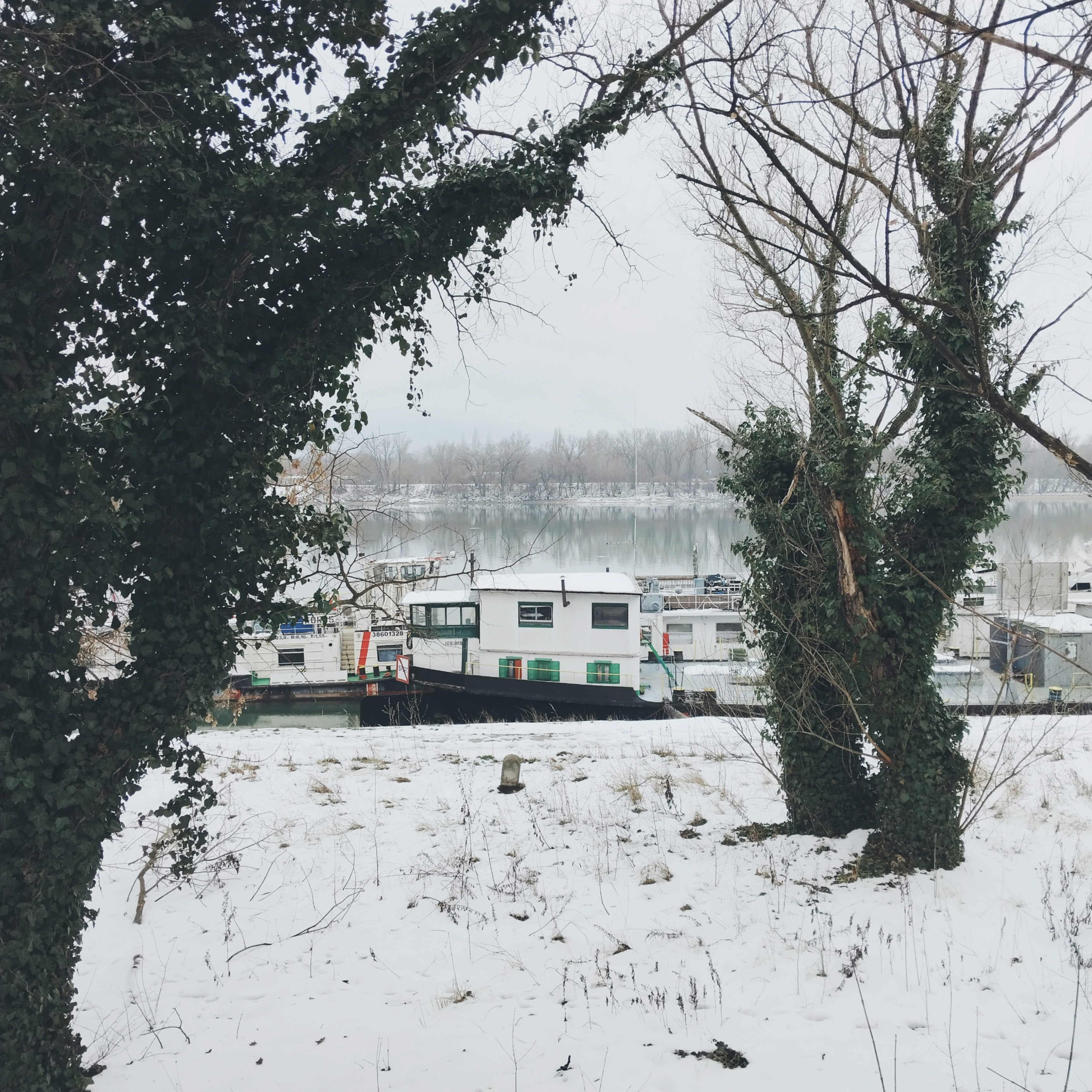 Winter Canal Docks: Boats Framed by Bare Trees