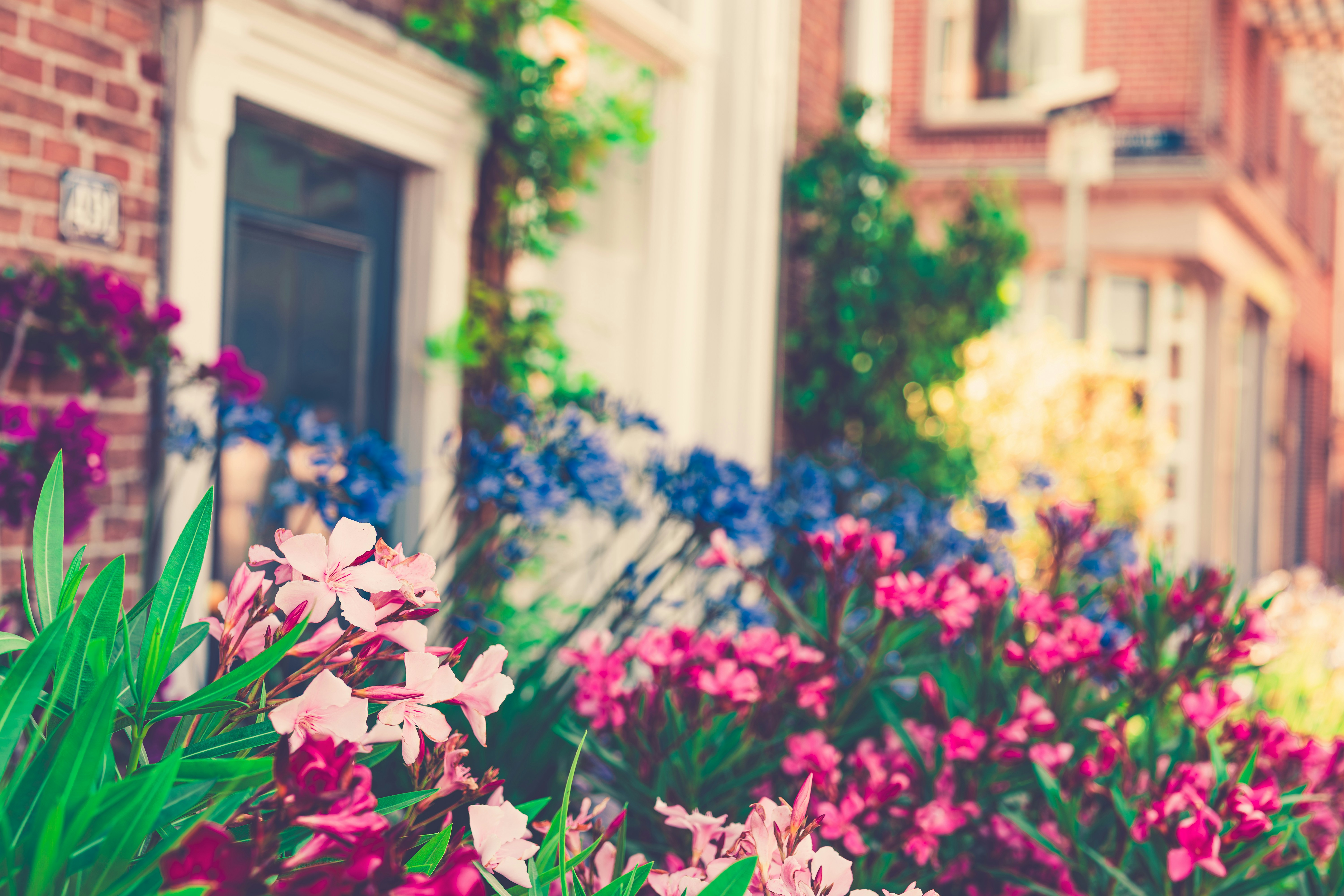 Vibrant foreground flowers line a city sidewalk with a blurred urban backdrop, highlighting a lush floral corridor and architectural hints.