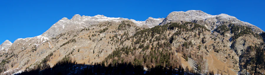 Majestic mountain range with bare rock faces and a dark evergreen belt at the base; the rugged ridge dominates a clear blue sky. A landscape shot highlighting alpine geology and scale.