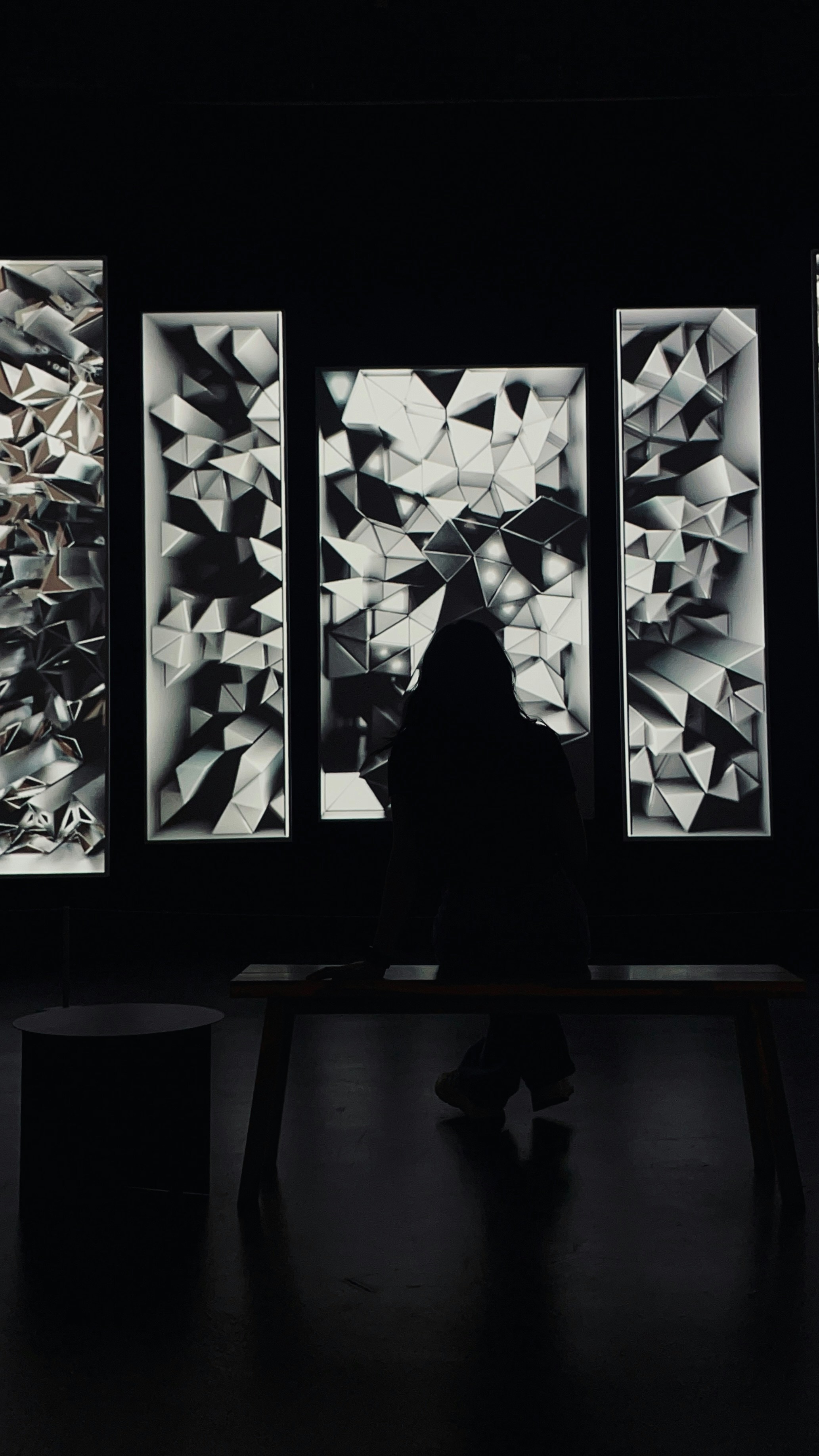 Silhouette at the Geometric Gallery