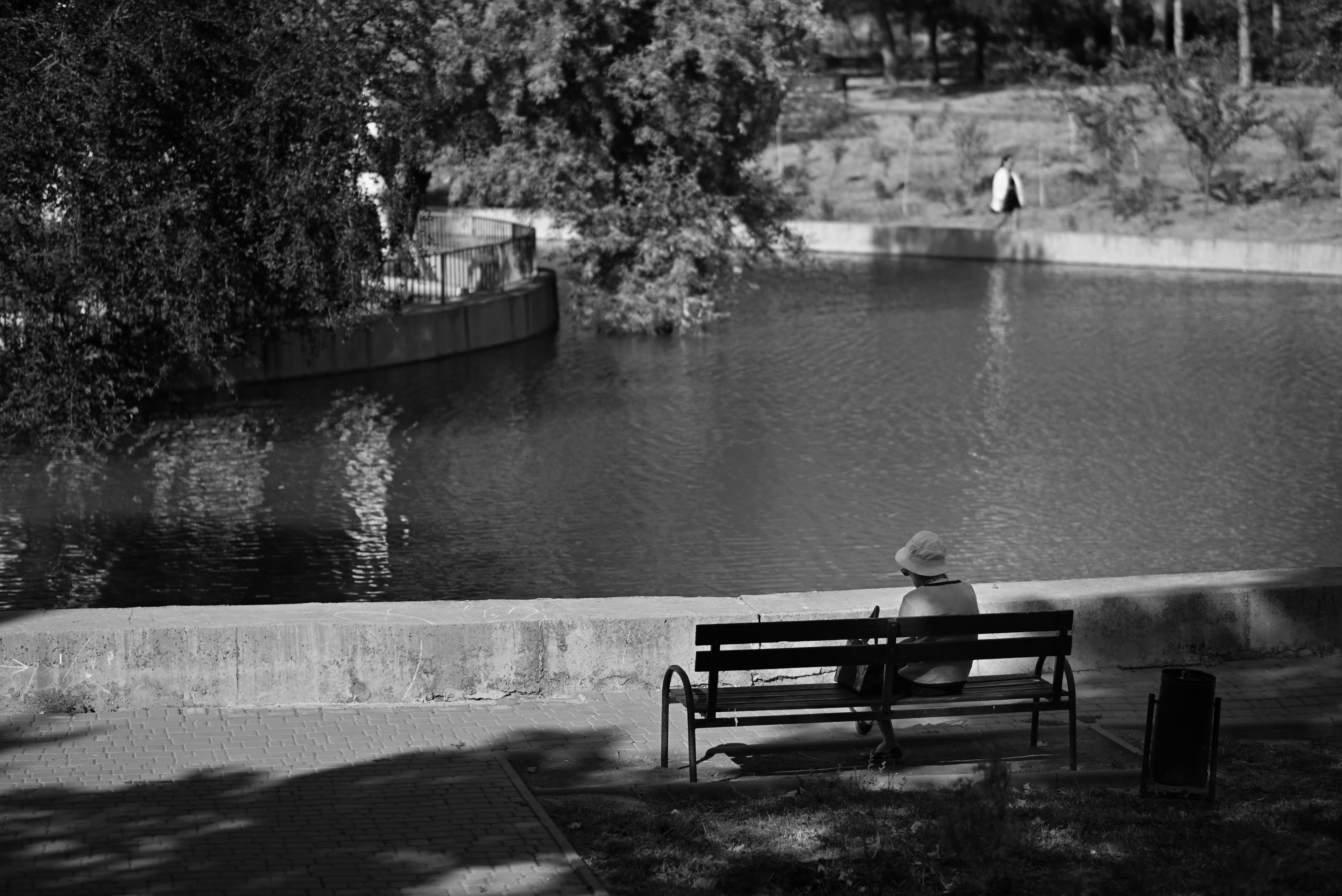 Solitary Figure on a Park Bench by the Quiet Pond