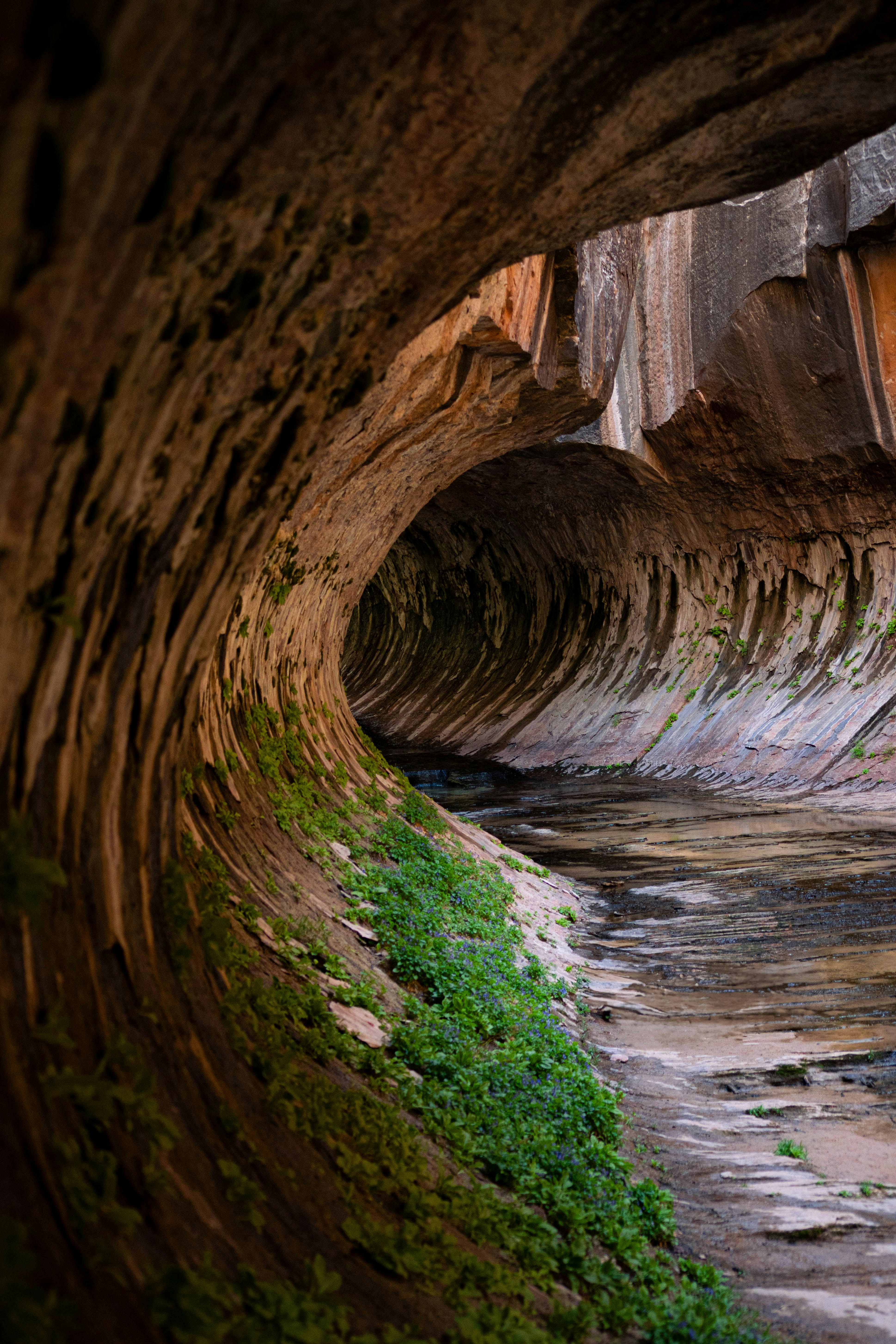 Curved Cliff Corridor: Mossy Arc Framing a Distant Tunnel