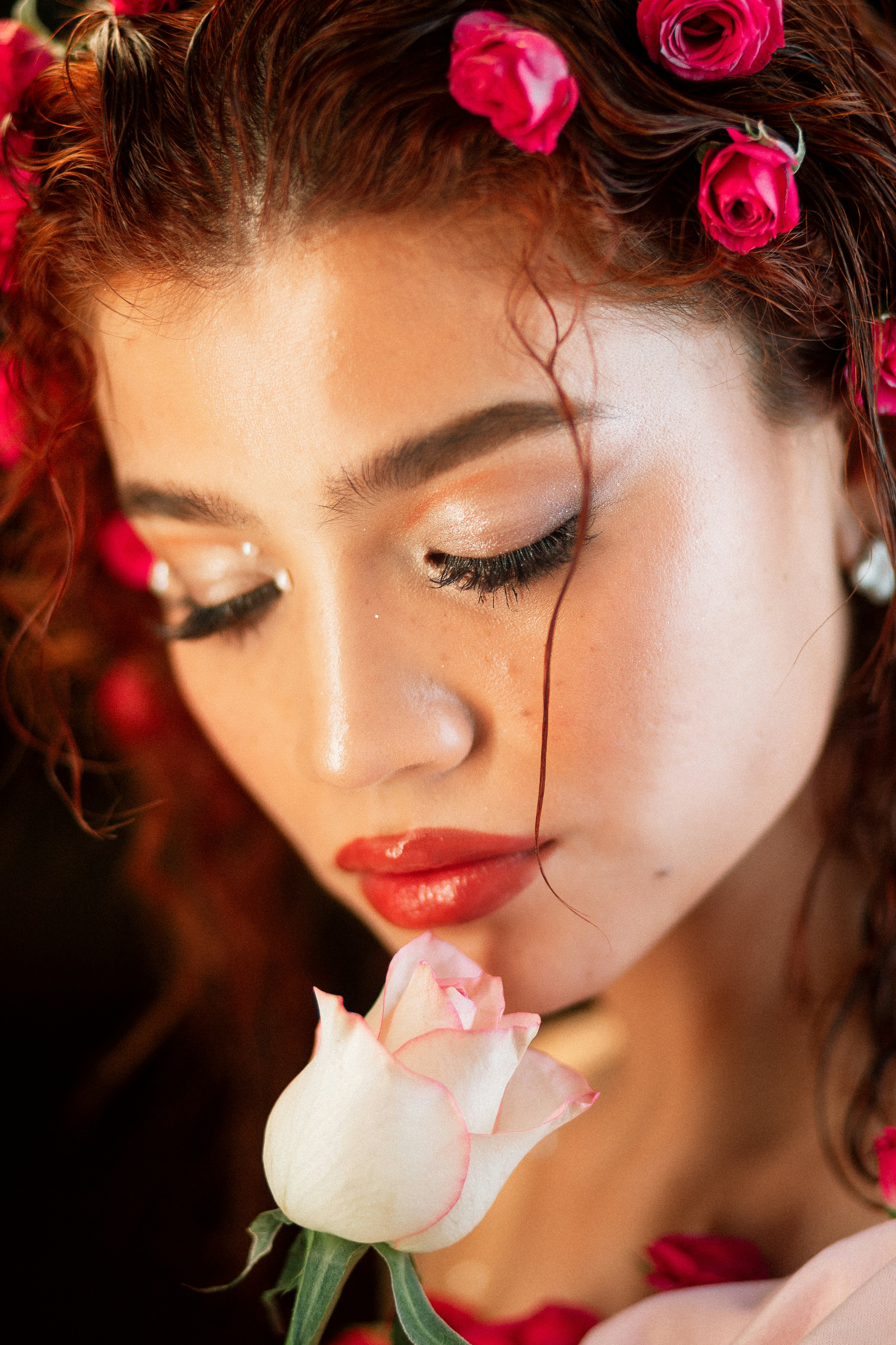 Crimson Petals and a Quiet Gaze