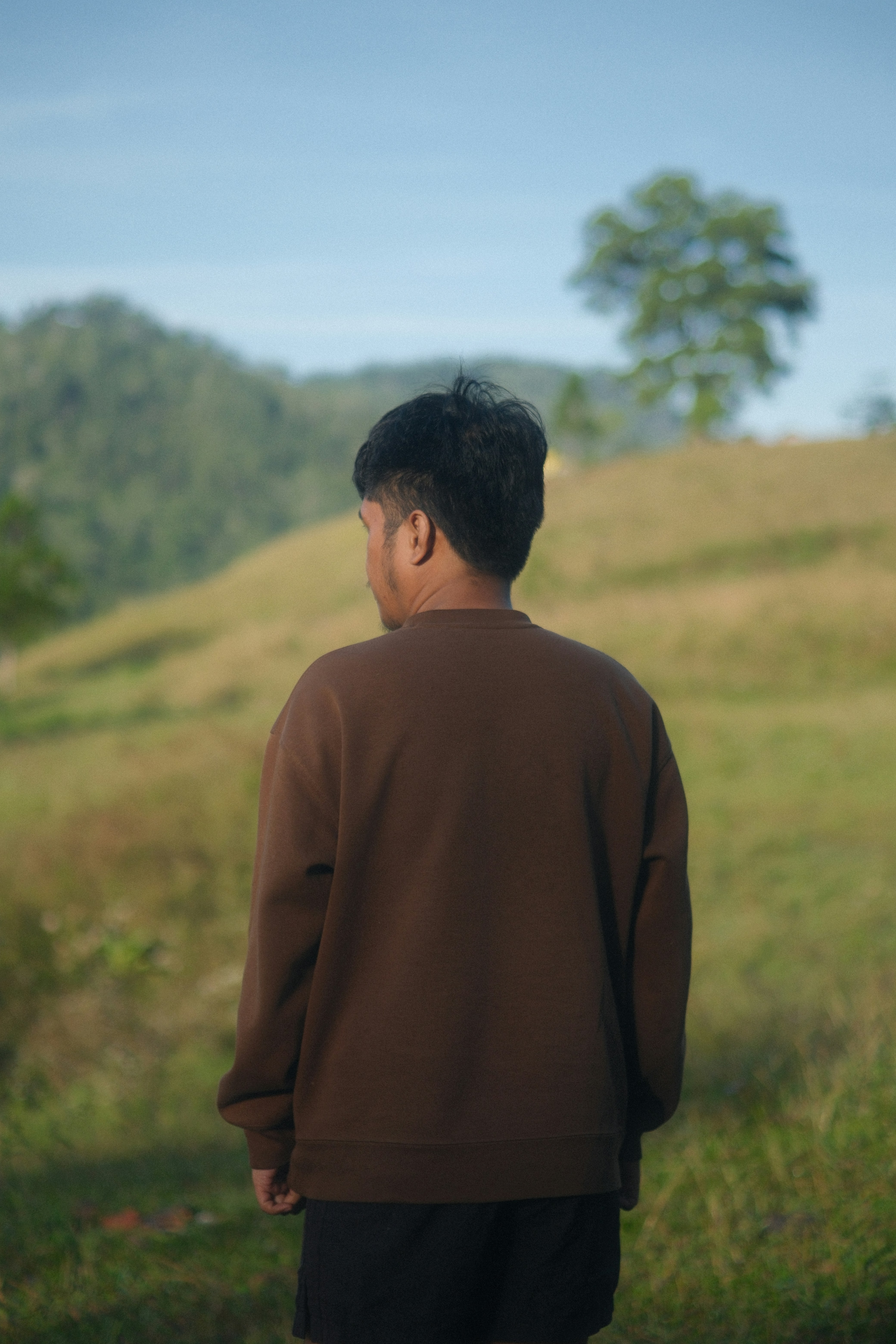 Backlit Quietude: A Moment of Solitude Amid Rolling Hills