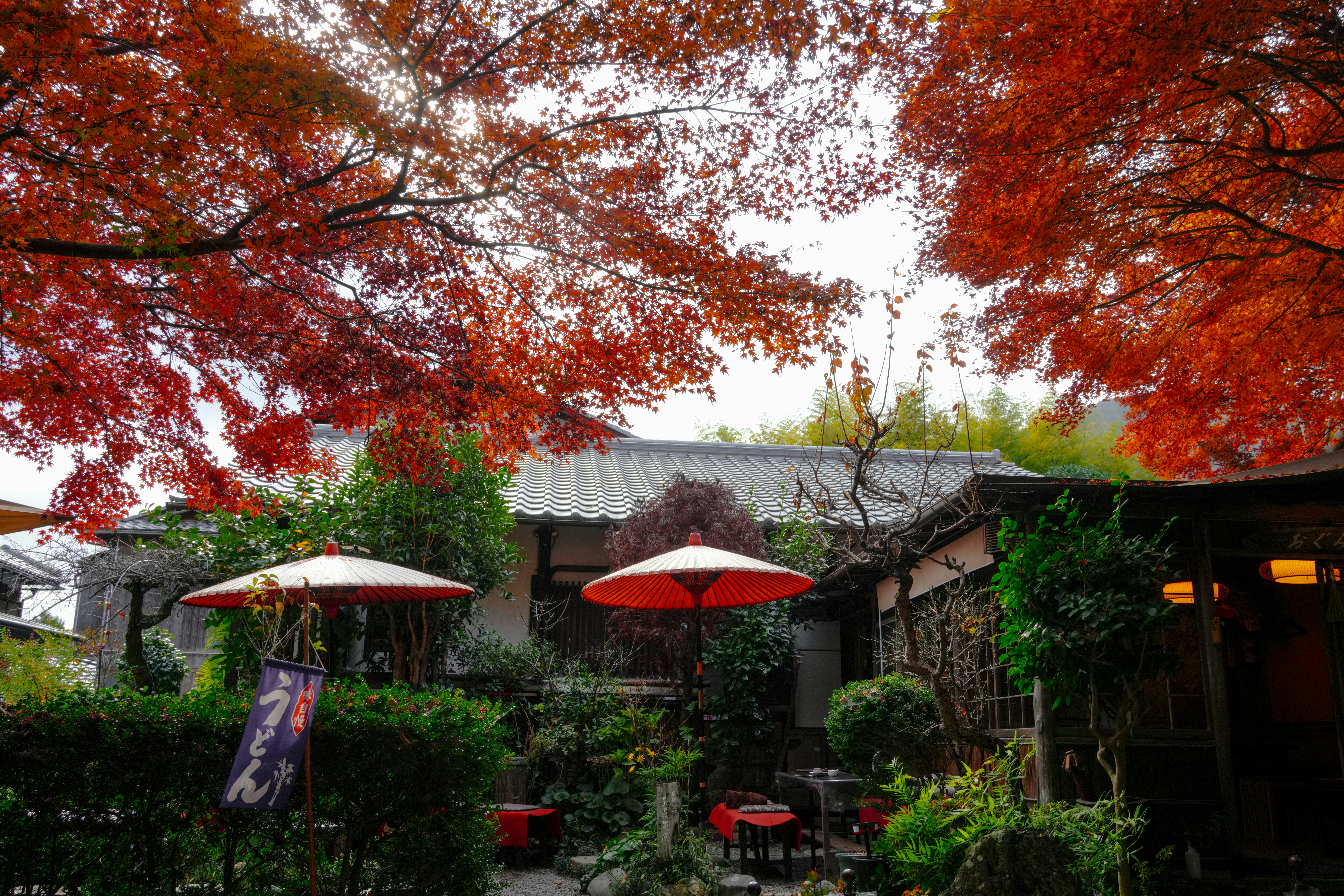 Autumn Courtyard with Crimson Canopy