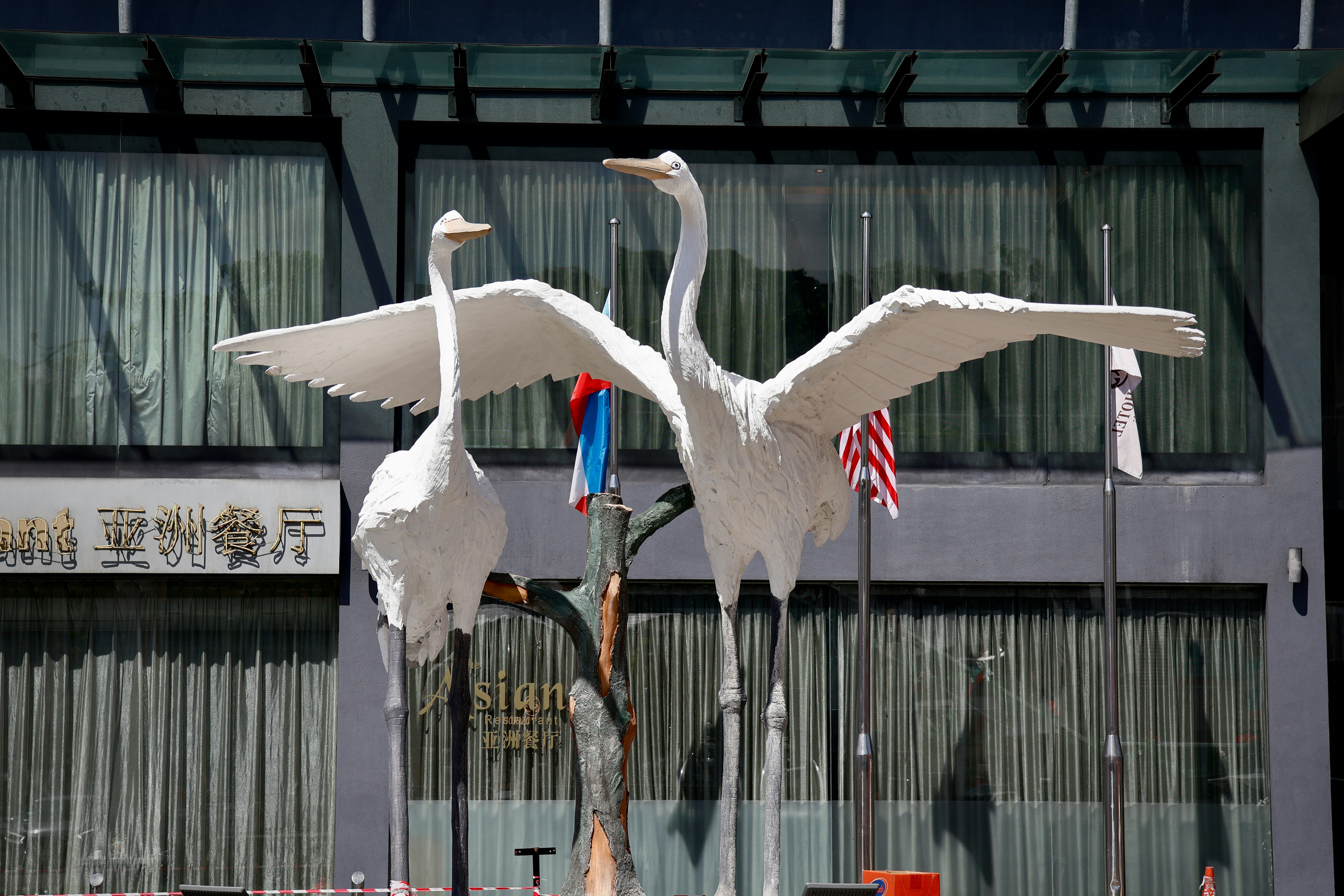 Winged Monuments: White Cranes Above a Glass Facade