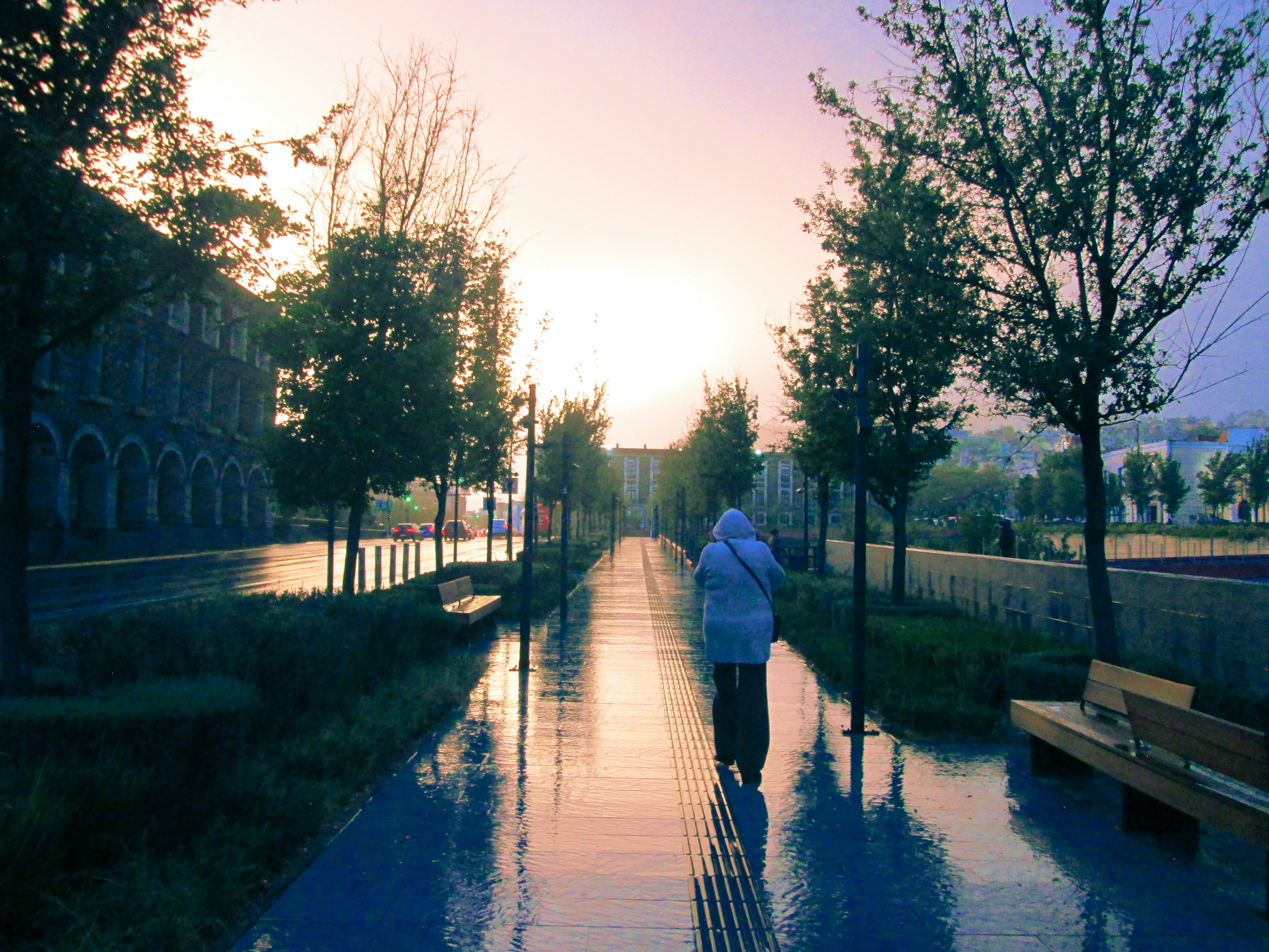 Un día lluvioso al atardecer en Toluca. Una persona camina por un sendero urbano en Toluca durante un atardecer lluvioso. El pavimento mojado refleja la luz del cielo mientras los árboles y la ciudad crean una atmósfera tranquila y urbana. Alt description (accesibilidad) Persona caminando sola por un andador urbano en Toluca al atardecer, después de la lluvia, con reflejos en el pavimento y árboles a ambos lados.