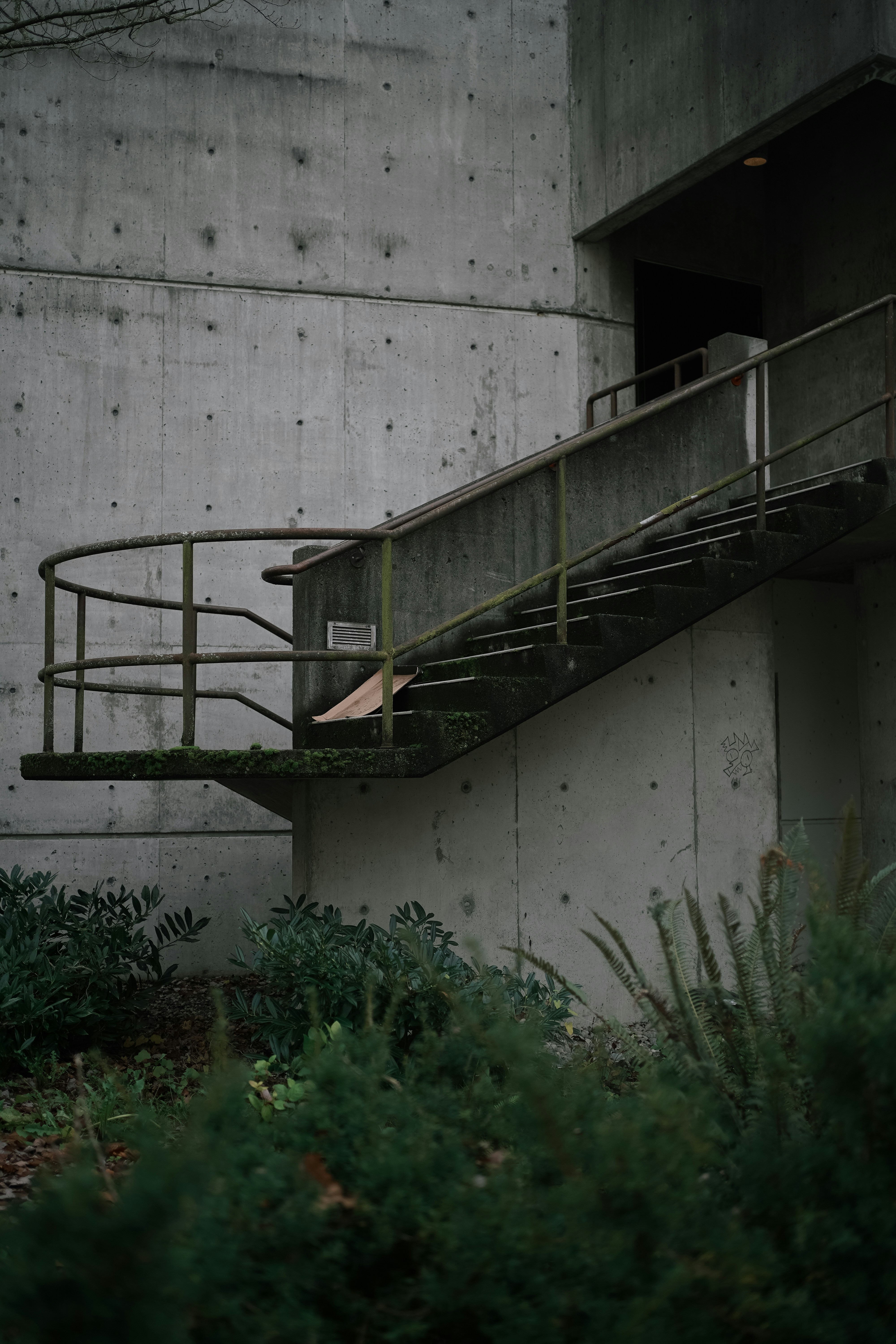 Deserted concrete staircase clinging to moss and shadows