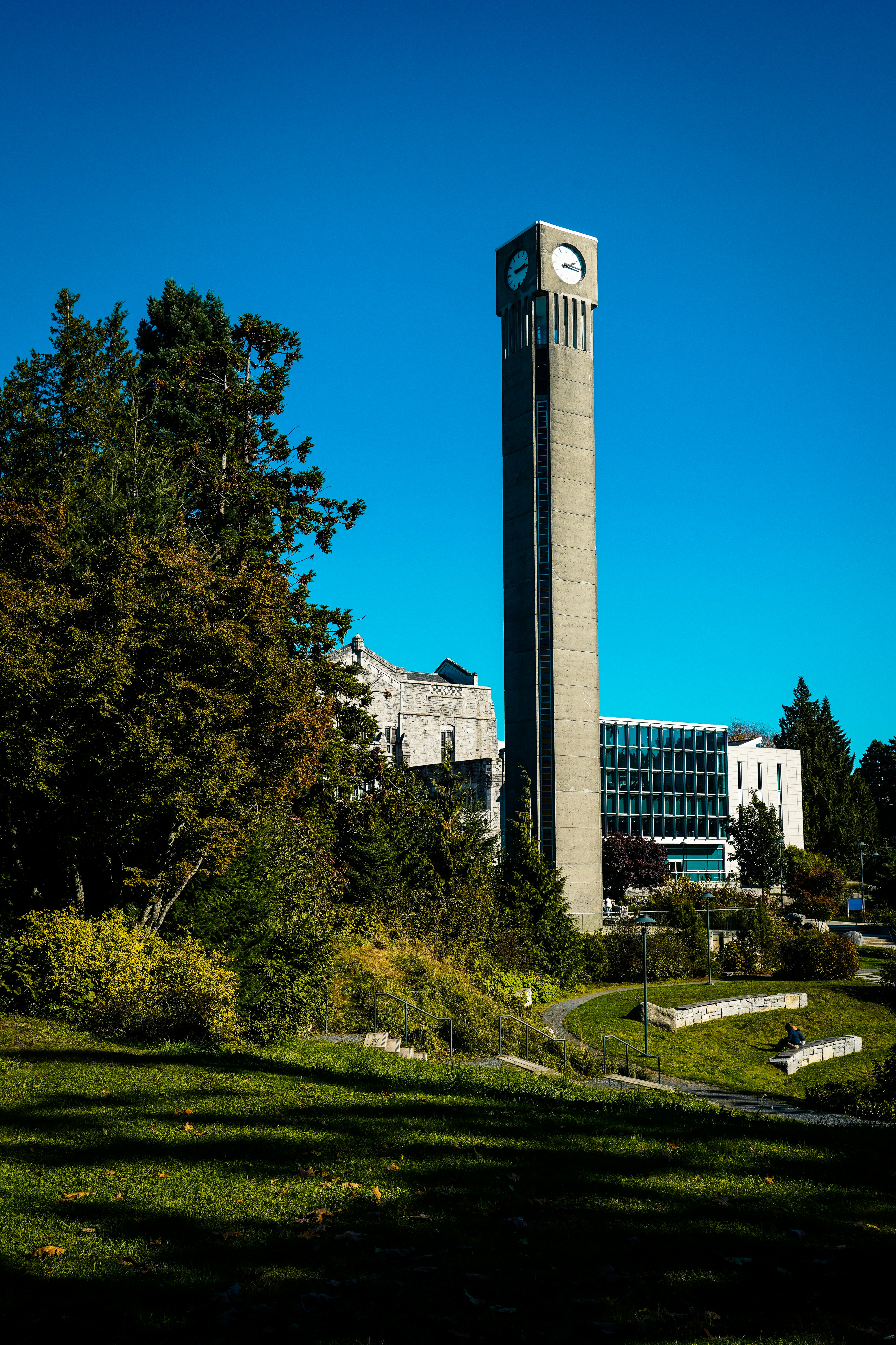 Tower Clock Overlook: A Timeless Campus Landmark Rising Above Autumn Greens