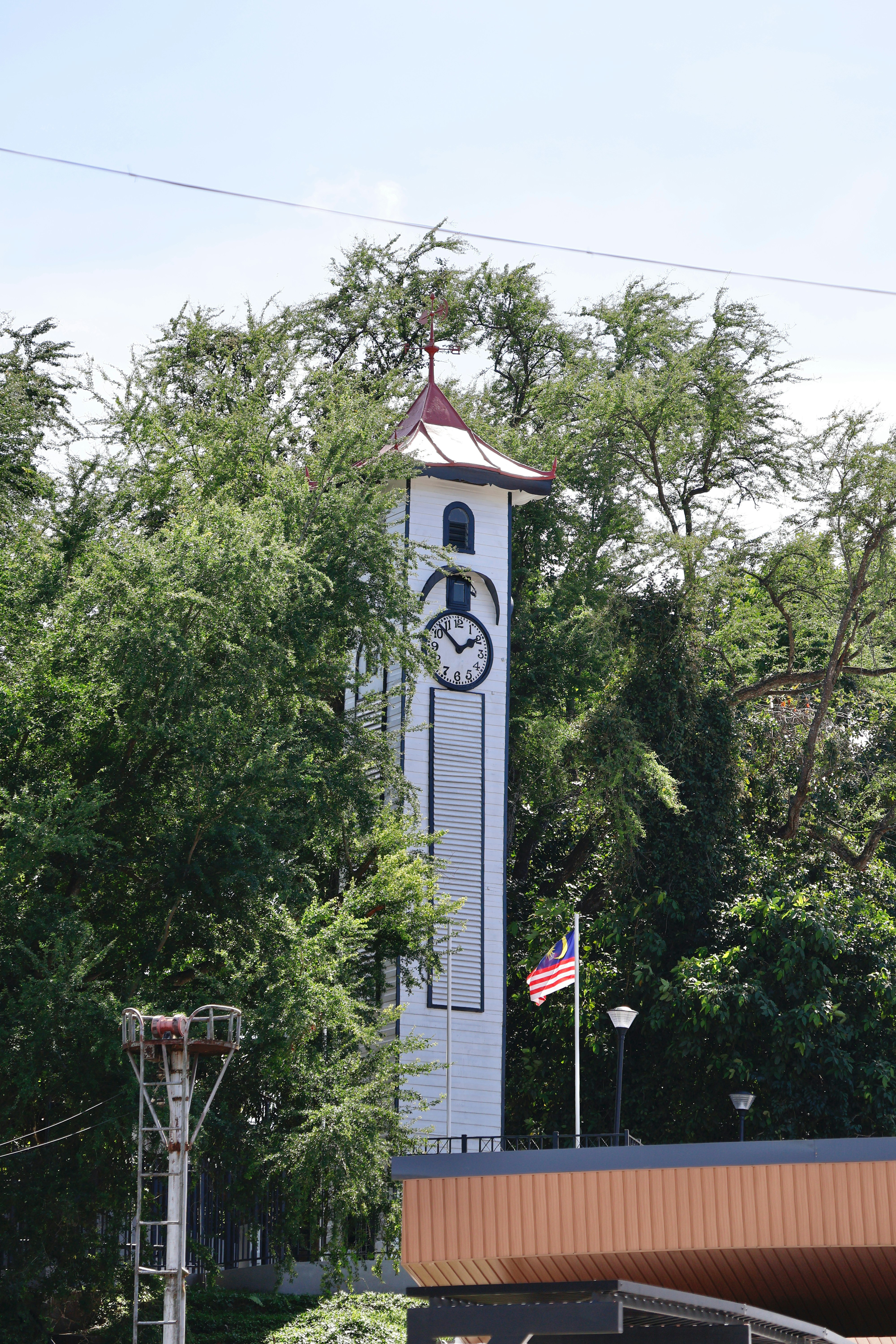 Clock Tower in the Shade: A Spire Surrounded by Trees