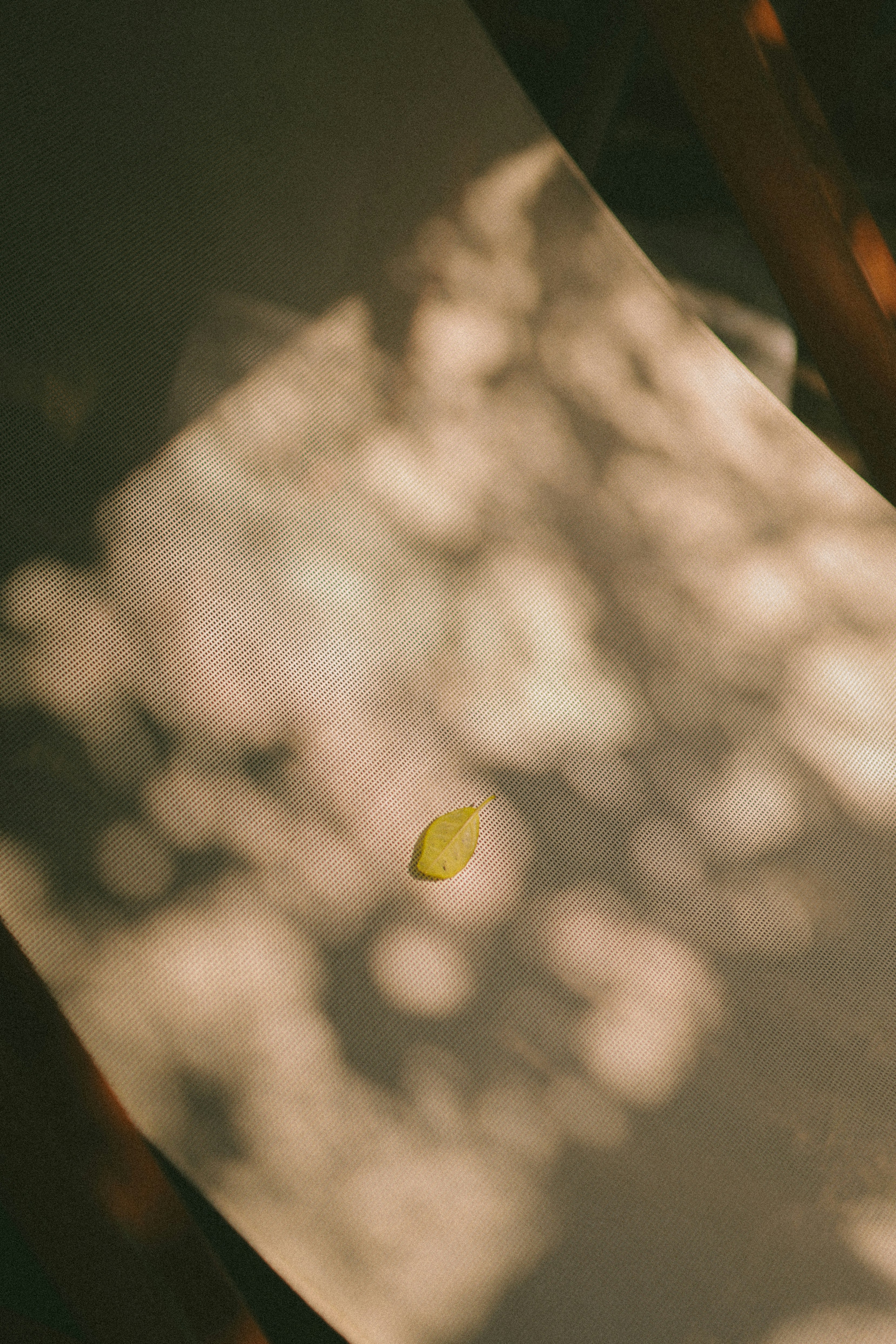 A single yellow leaf mid-air against a warm, blurred background with dappled light; the scene captures a quiet, atmospheric moment with a minimal, abstract feel. (Logo/illustration not present).