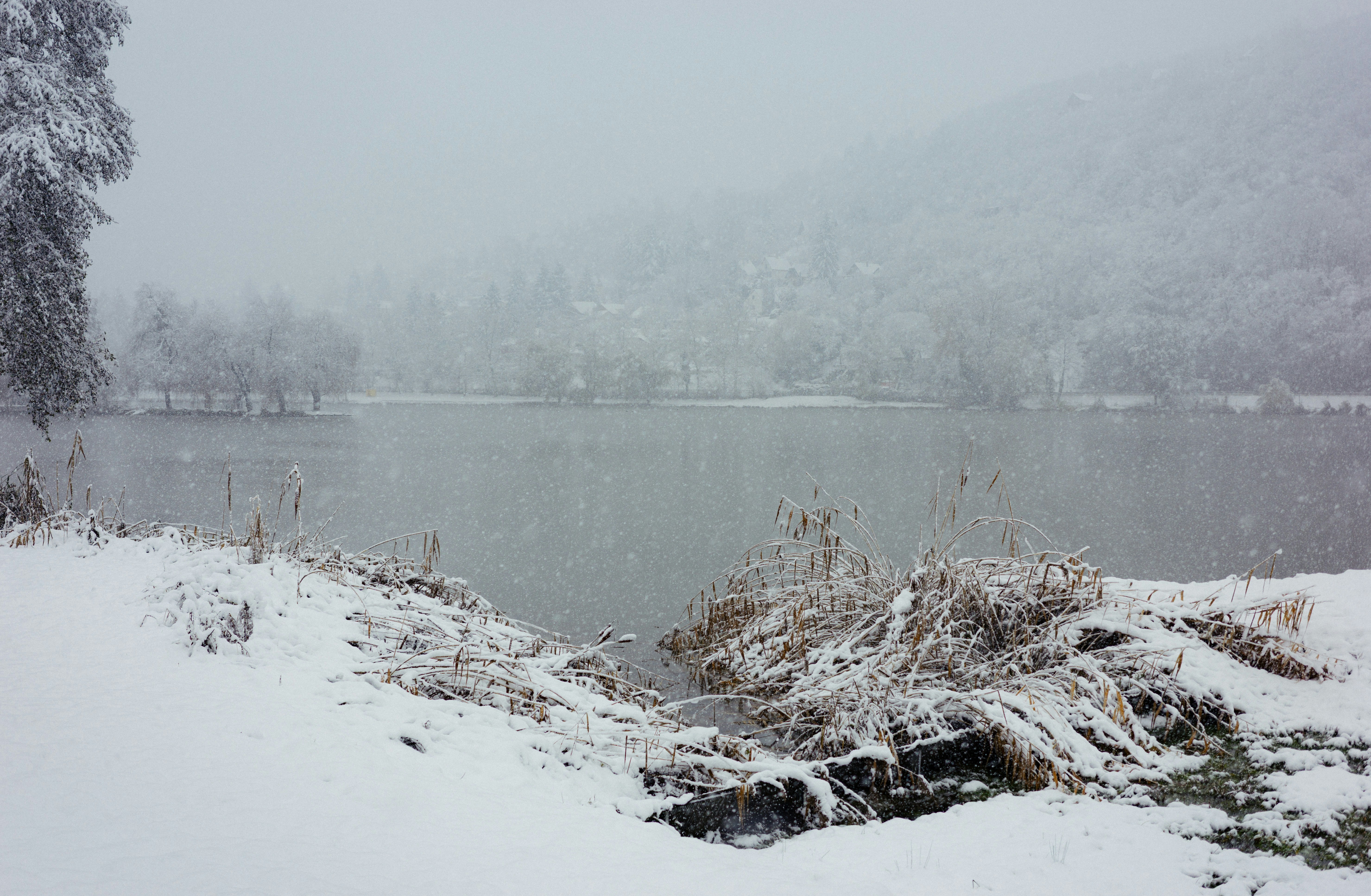 Snow-Laden Lakeside Quietude