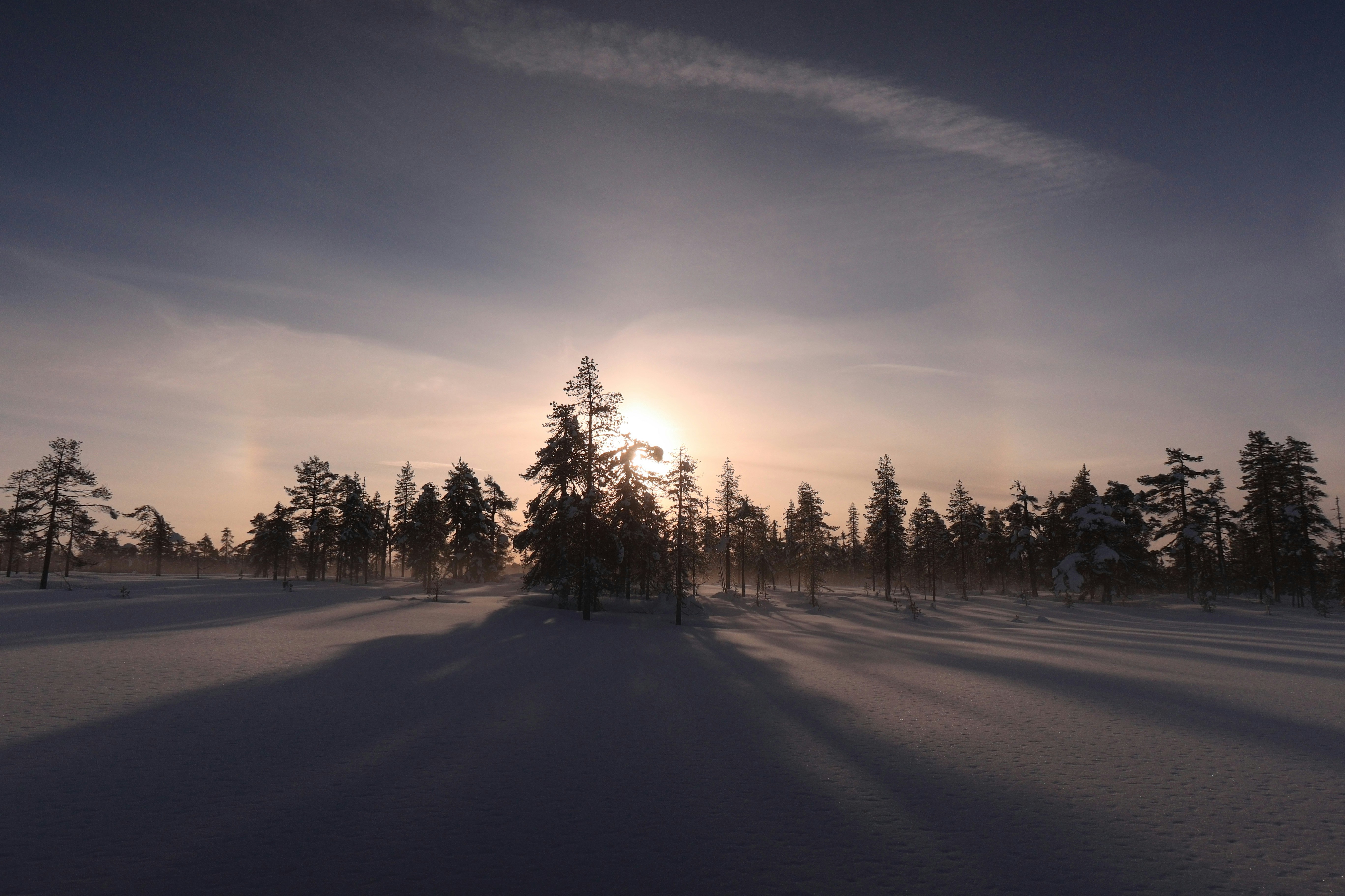 Winter landscape with trees and long shadows at sunset photo – Free ...