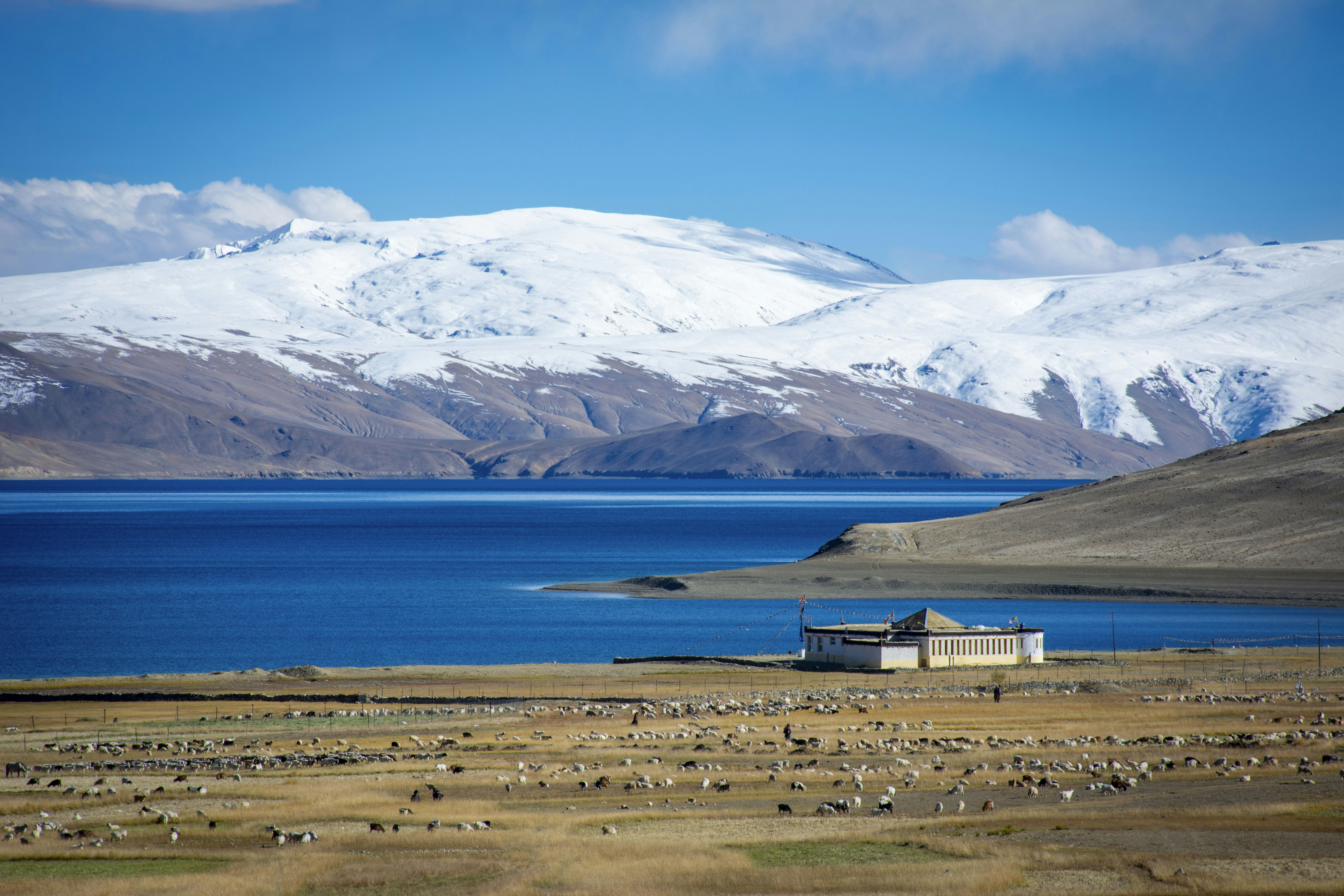 Snow‑kissed Ridge Over Lake at Distant Farm