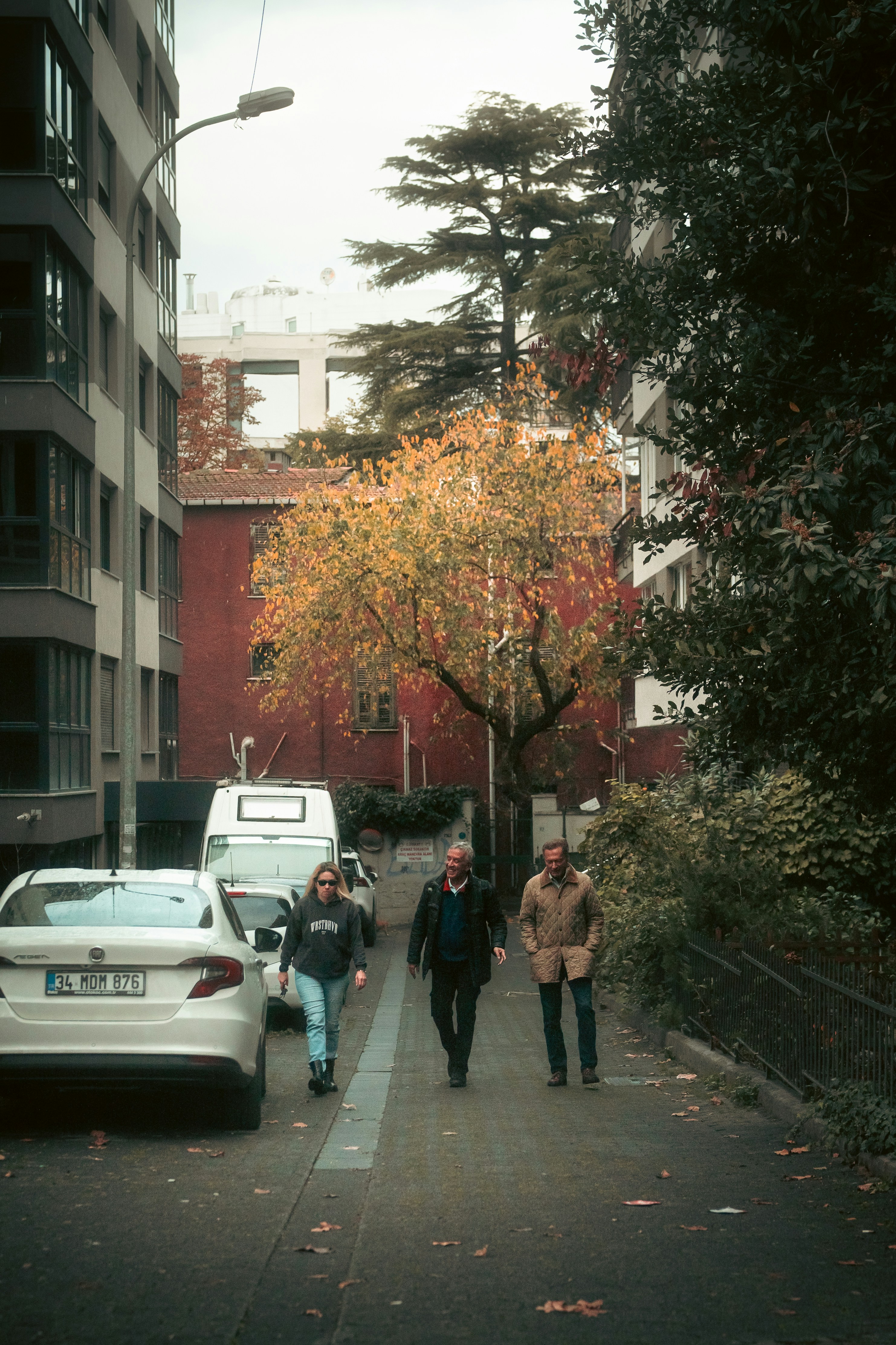 Autumn Walk Down a Quiet Urban Street