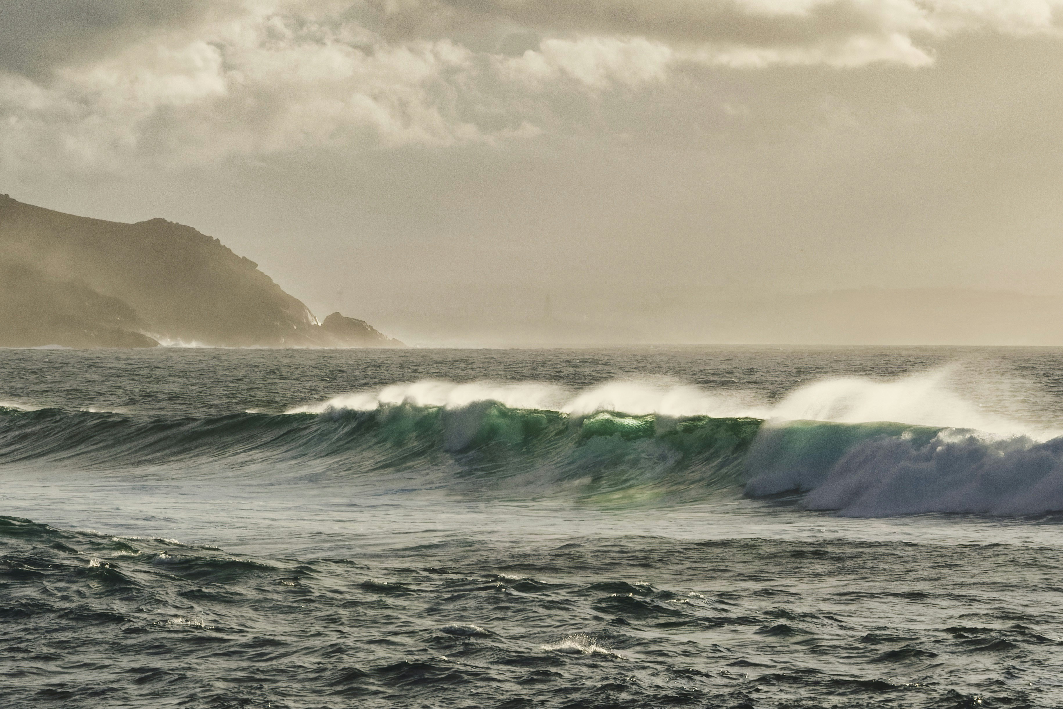 Golden Crest: Hushed Morning Surf Rolling Toward a Quiet Shore