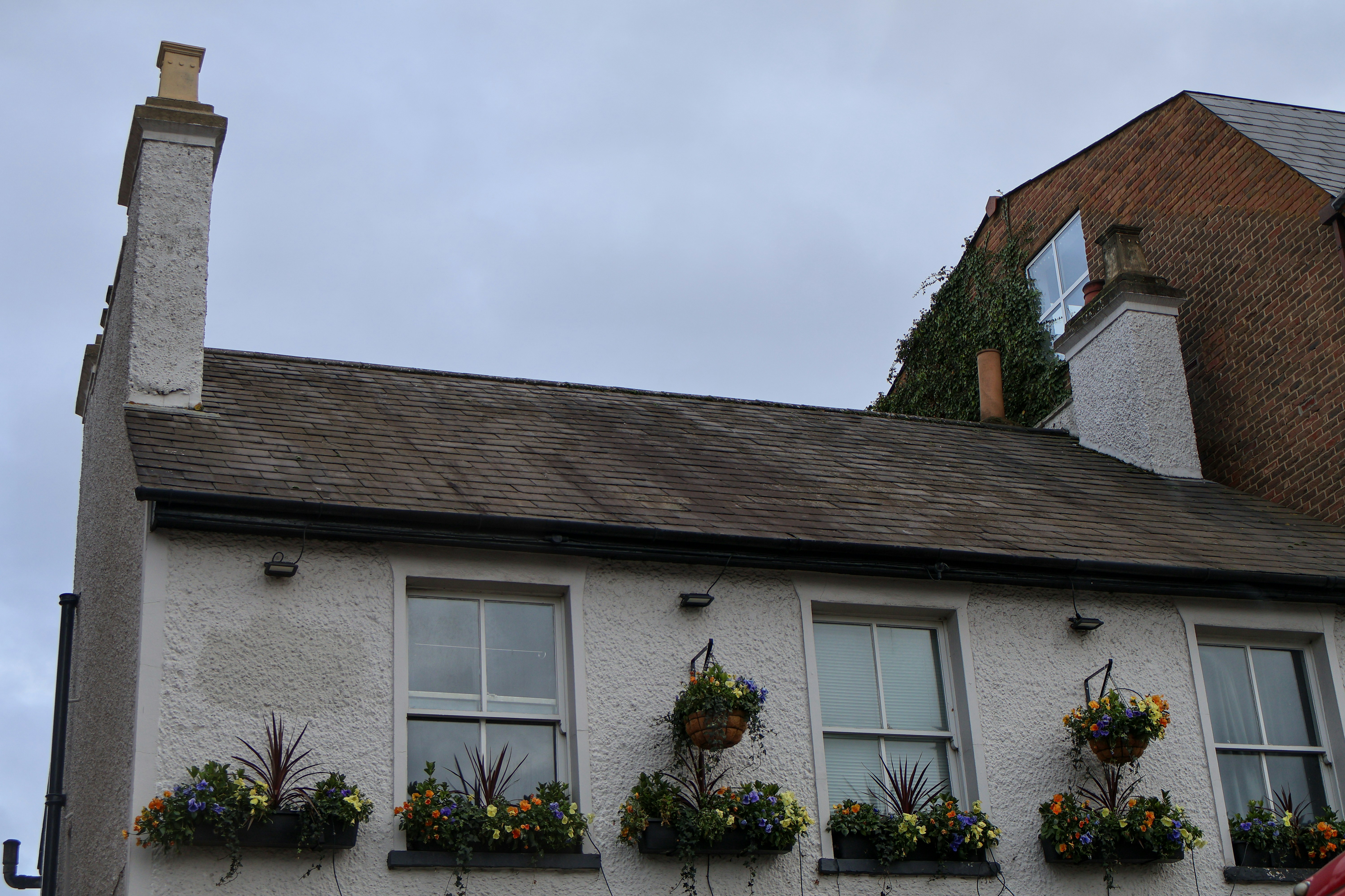 Flowered Window Boxes Under a Quiet Rooftop
