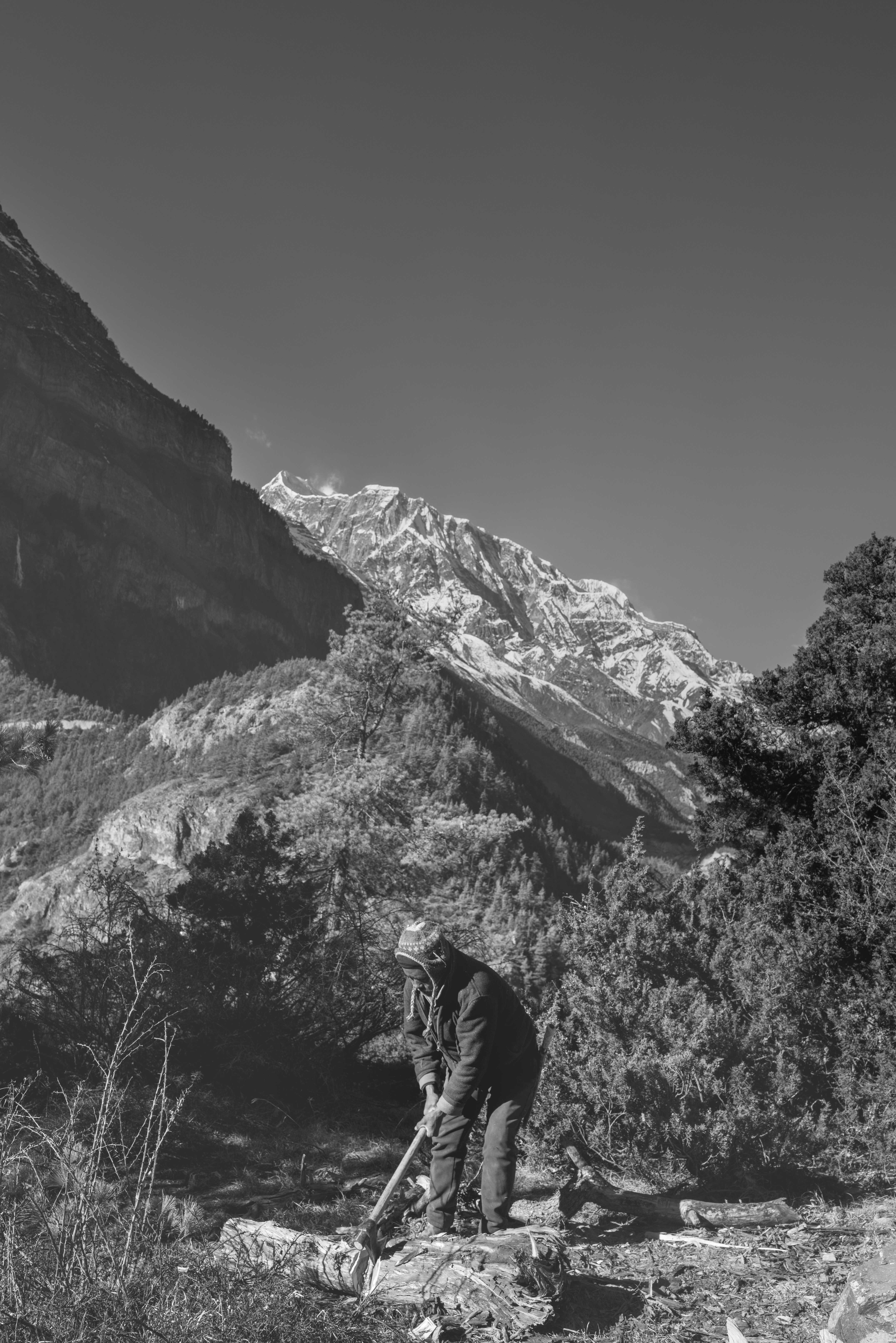 Cold Mountain Woodwork: A solitary lumberjack at the alpine edge