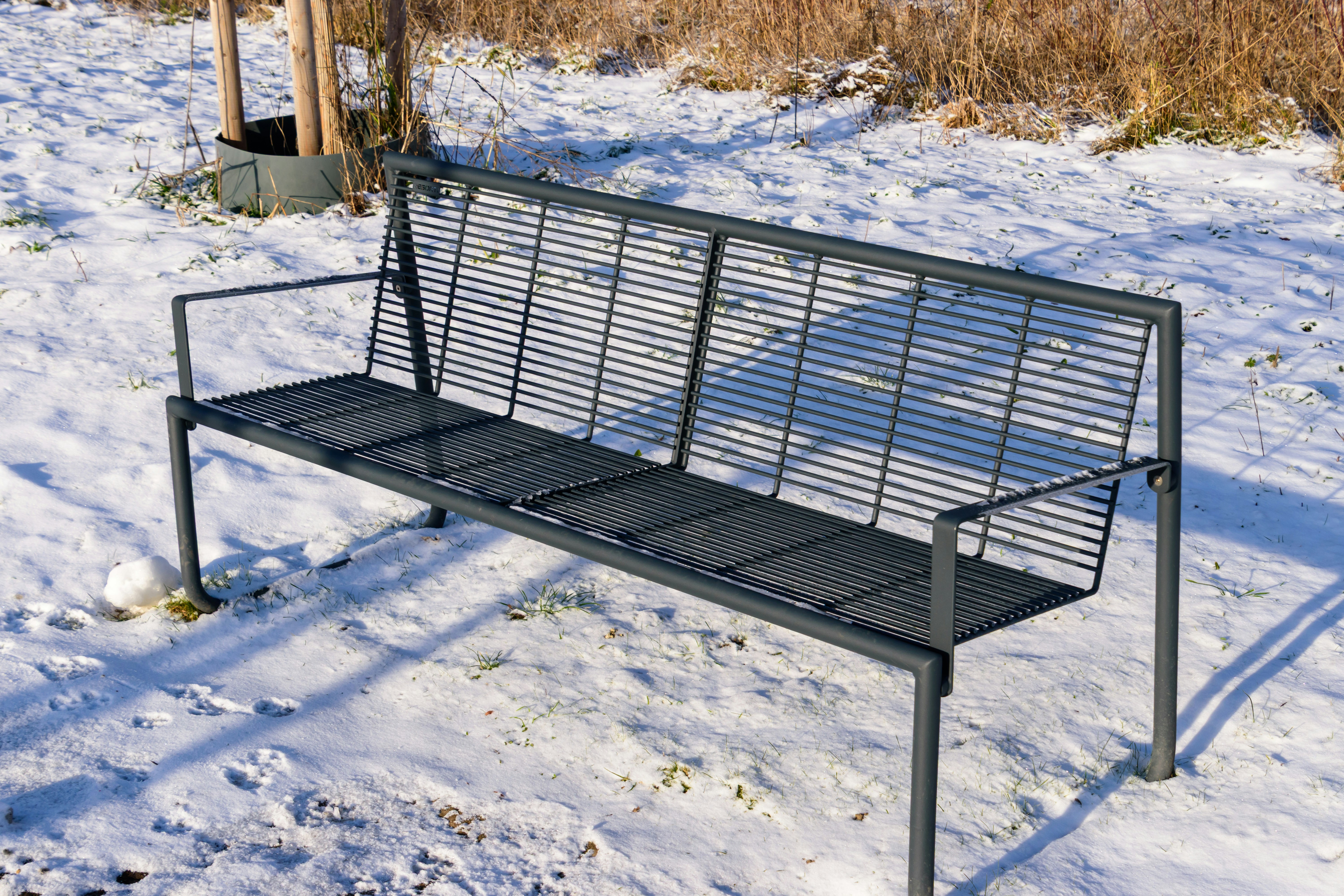 Metallic Park Bench in Snow: Quiet Geometry Under Winter Light