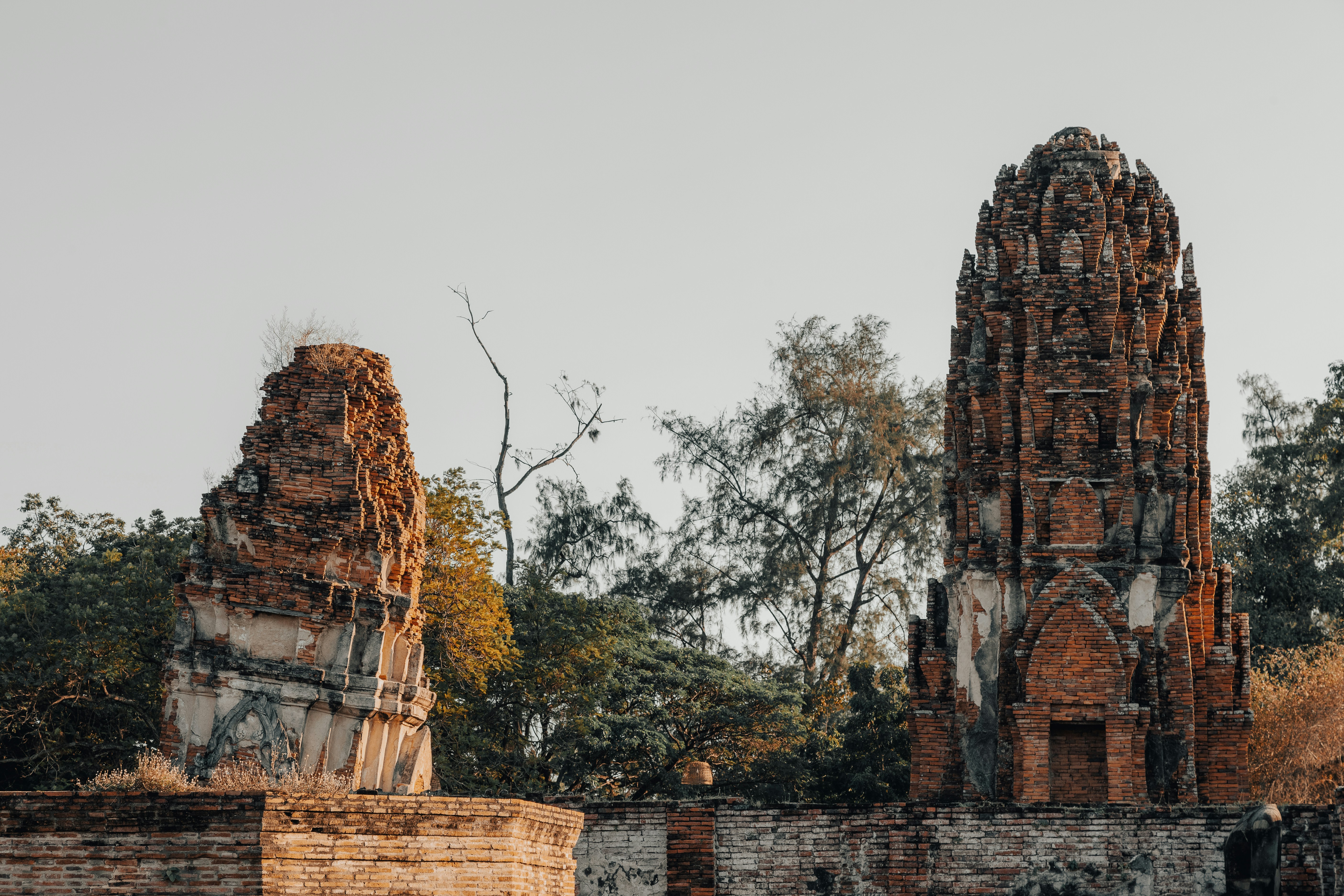 Ancient brick ruins with trees under a clear sky. photo – Free Travel ...