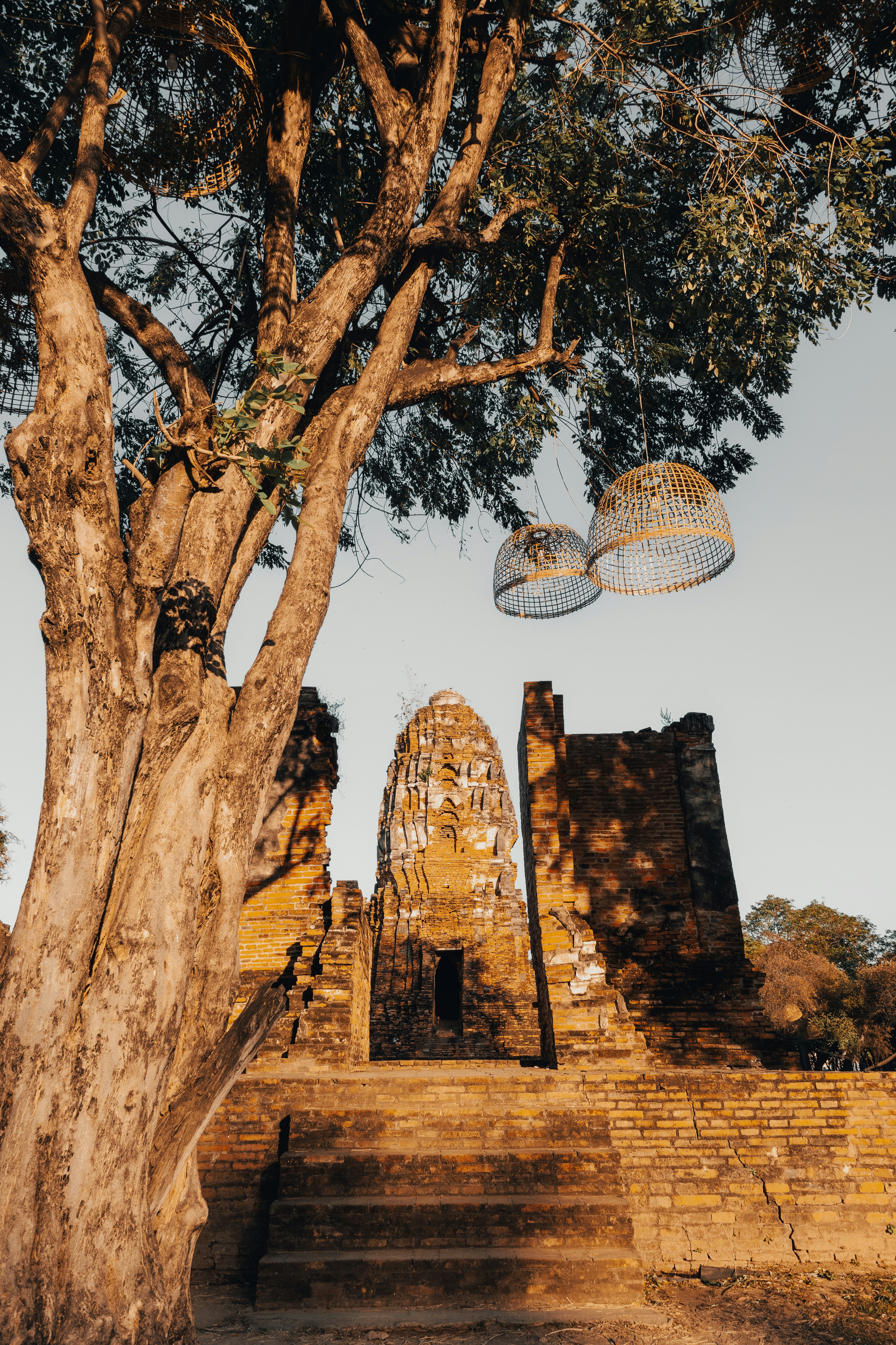Ancient Ruins Under Tree Canopy with Hanging Lanterns