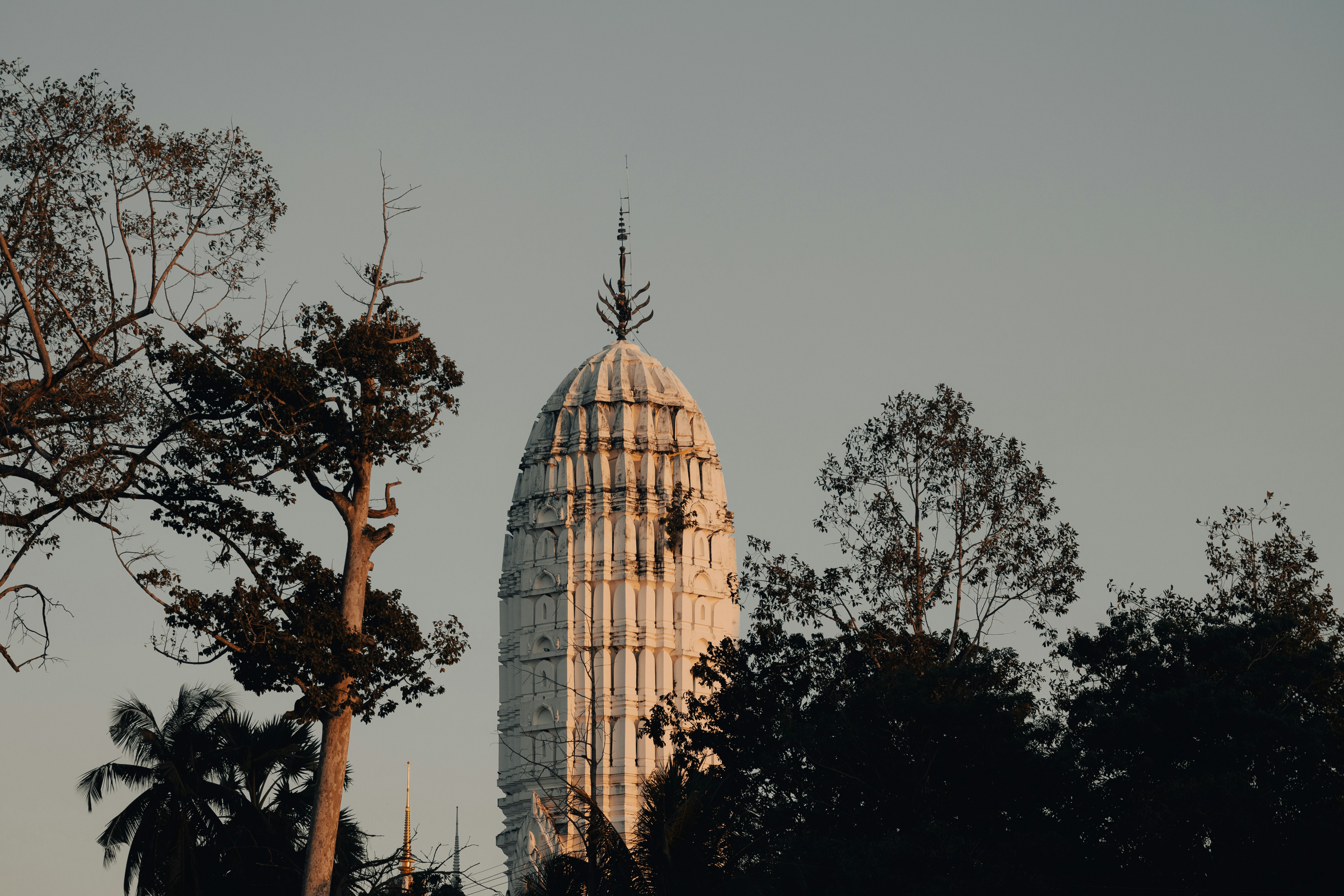 Temple Spire Rising Above Shadowed Foliage