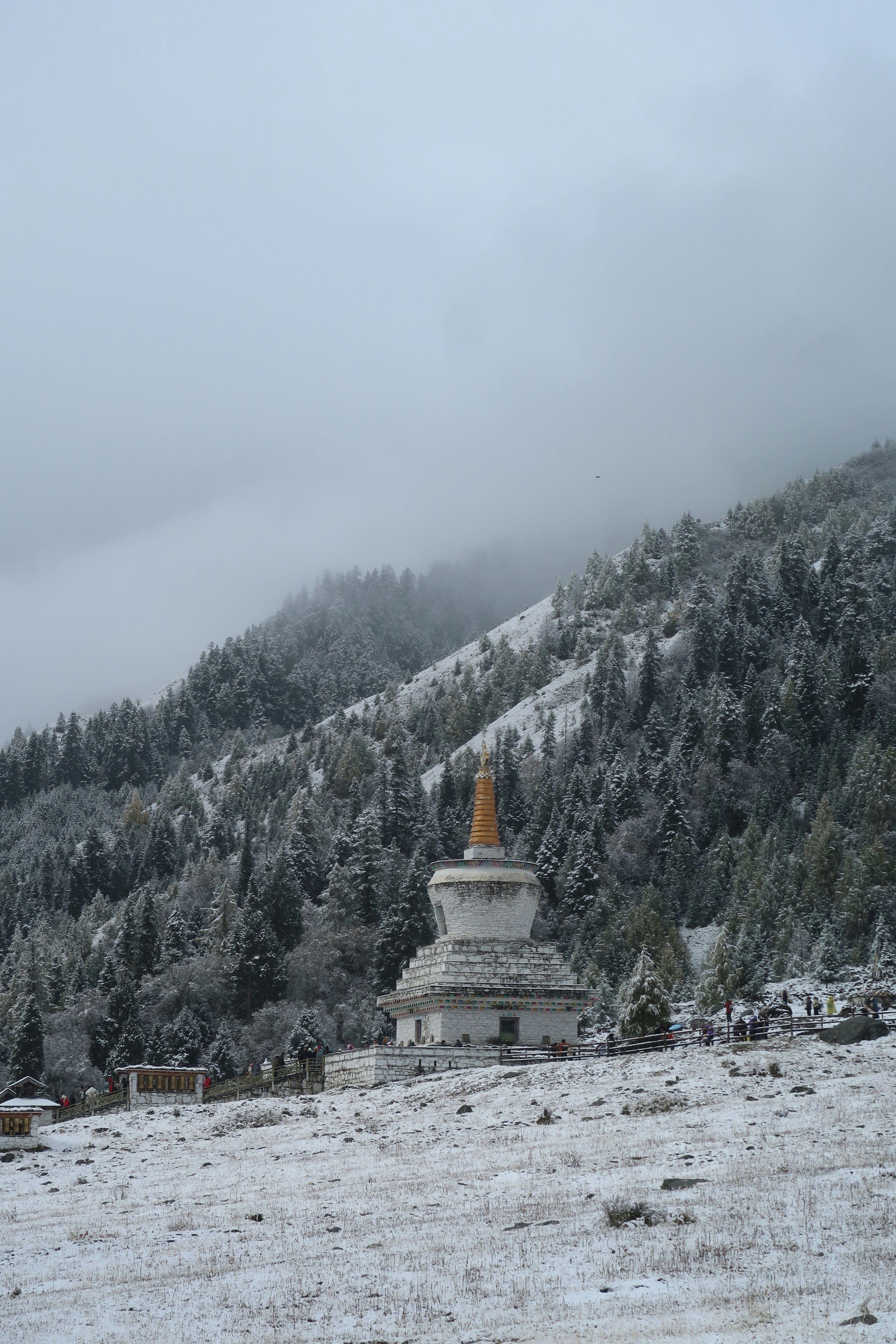 Snow-Capped Shrine Beneath Sloping Pines