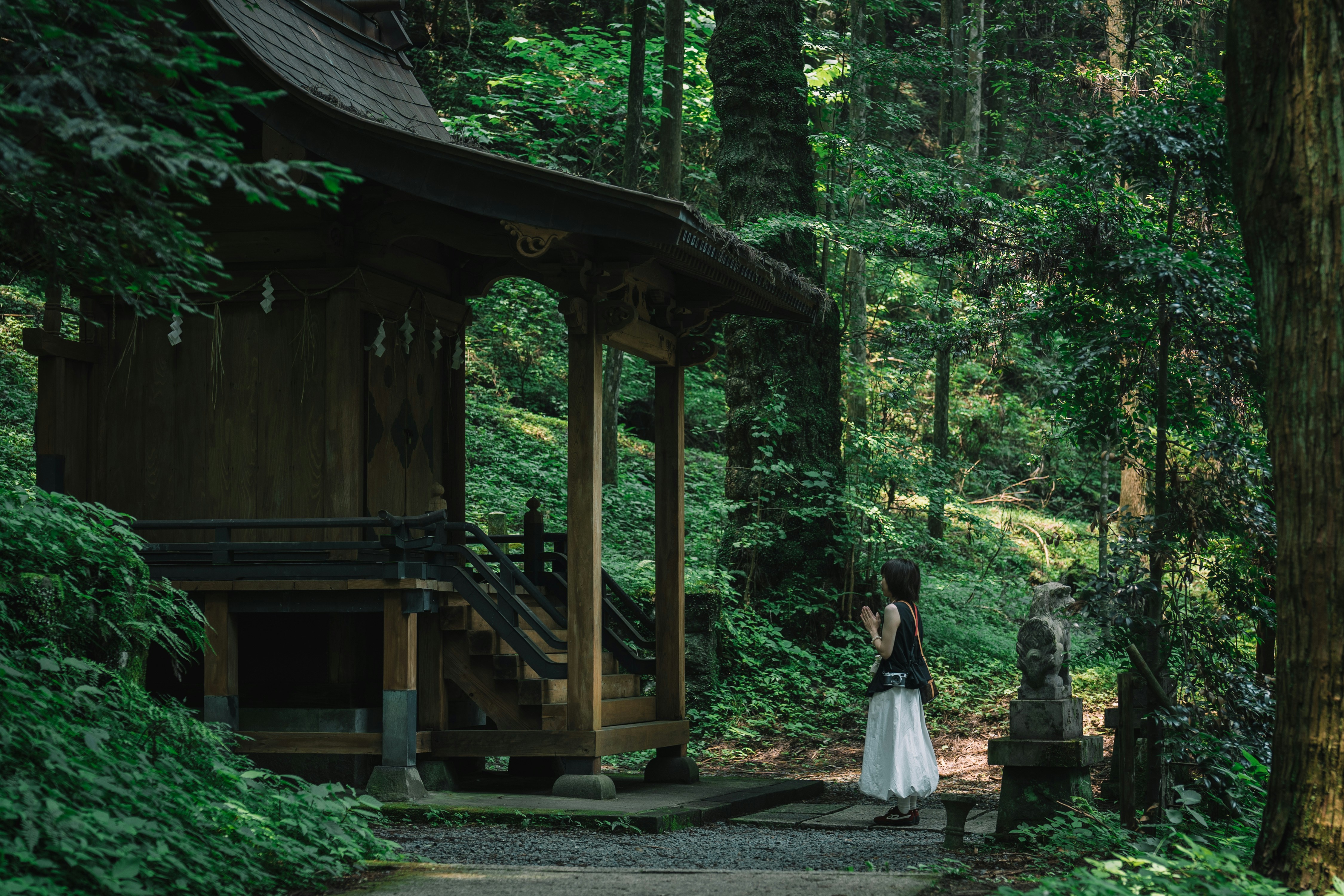 Silent Shrine Visit: A Woman in White Before the Wooden Pavilion