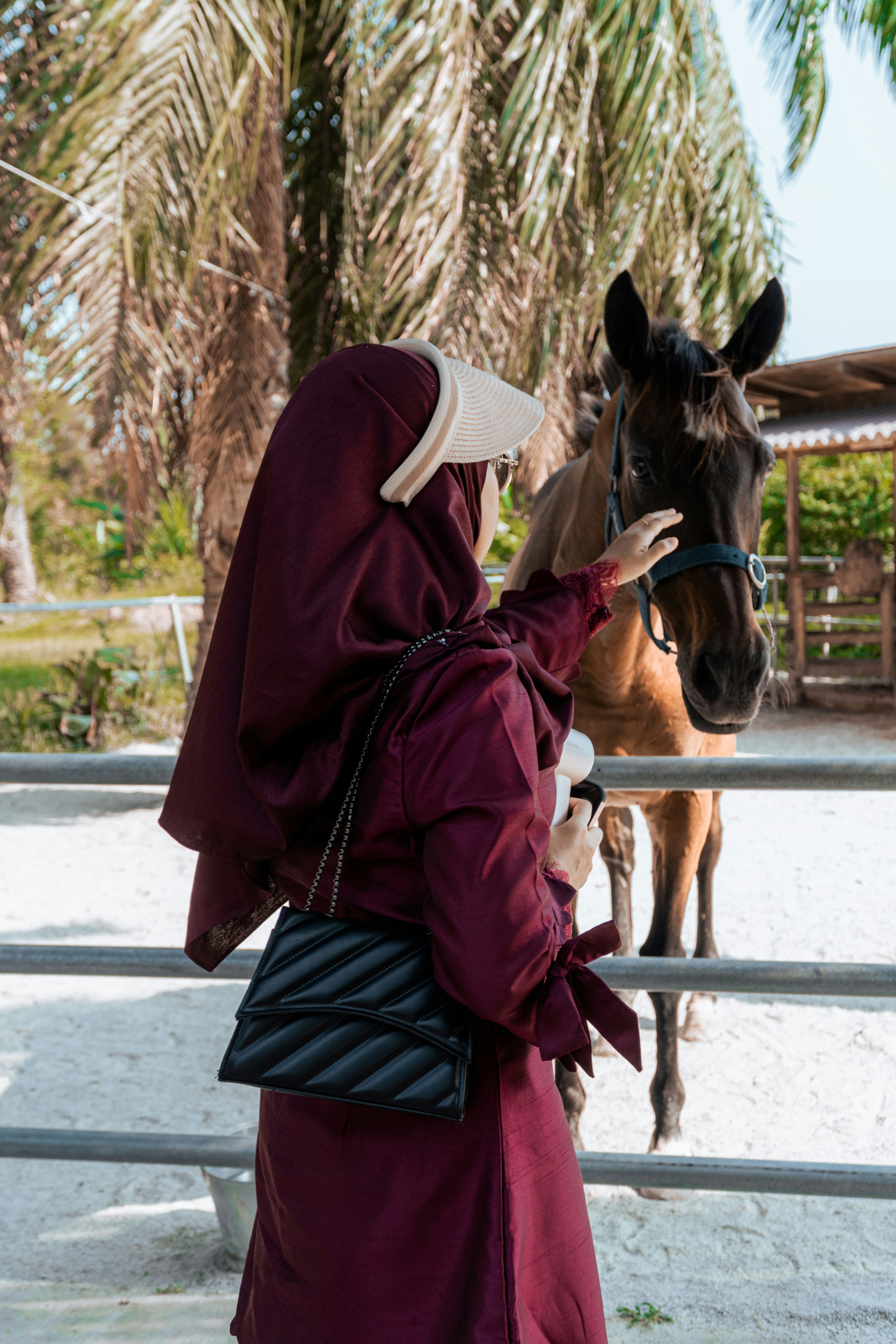 Crimson Cloak and Quiet Gallop: A Moment with the Gentle Horse