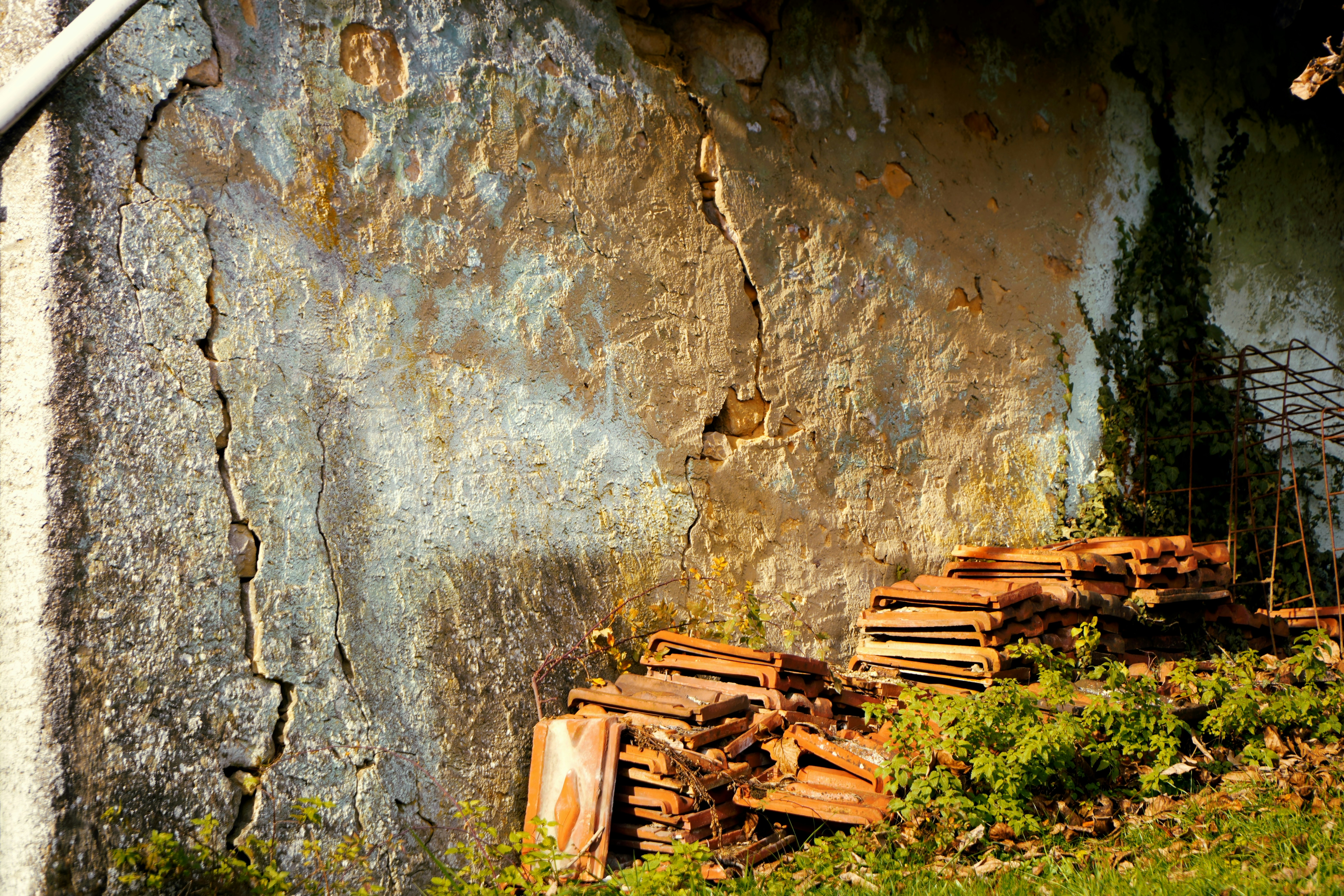 Weathered Wall and Stacked Tiles: Quiet Decay by the Overgrown Path