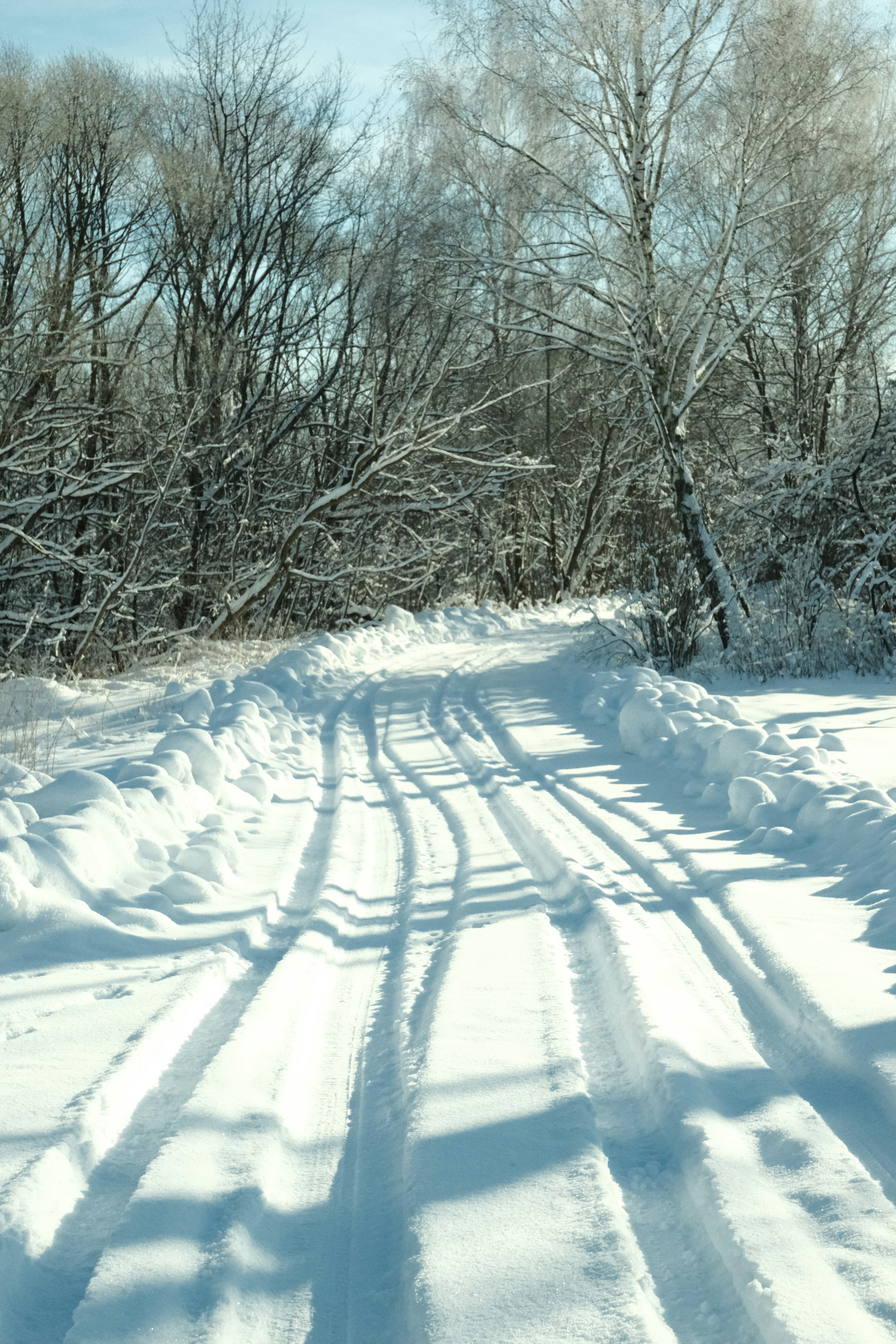 Snowbound Trail: Tracks Carved Through Quiet Winter Light