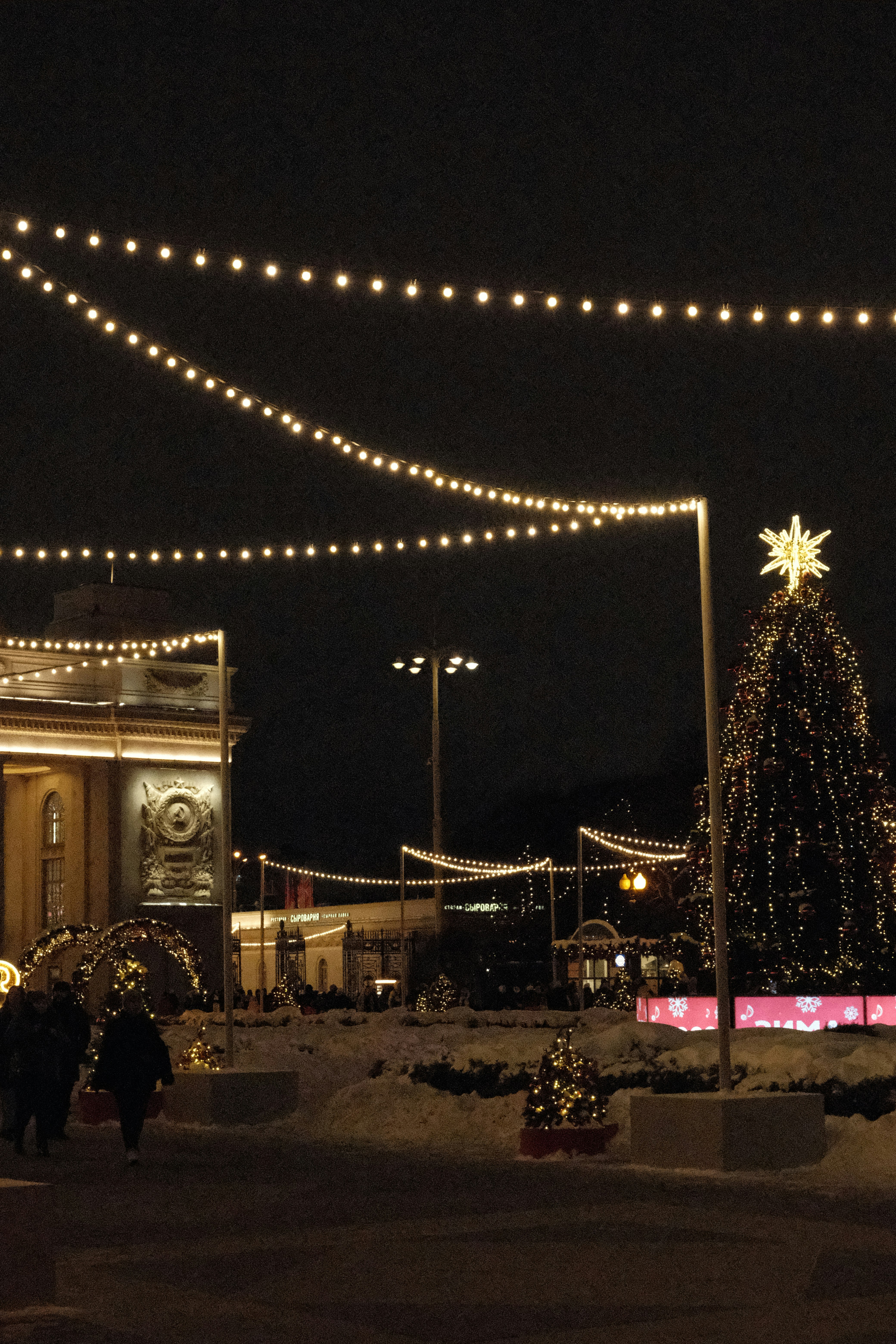 Glowing Night Market: String Lights and a Majestic Christmas Tree