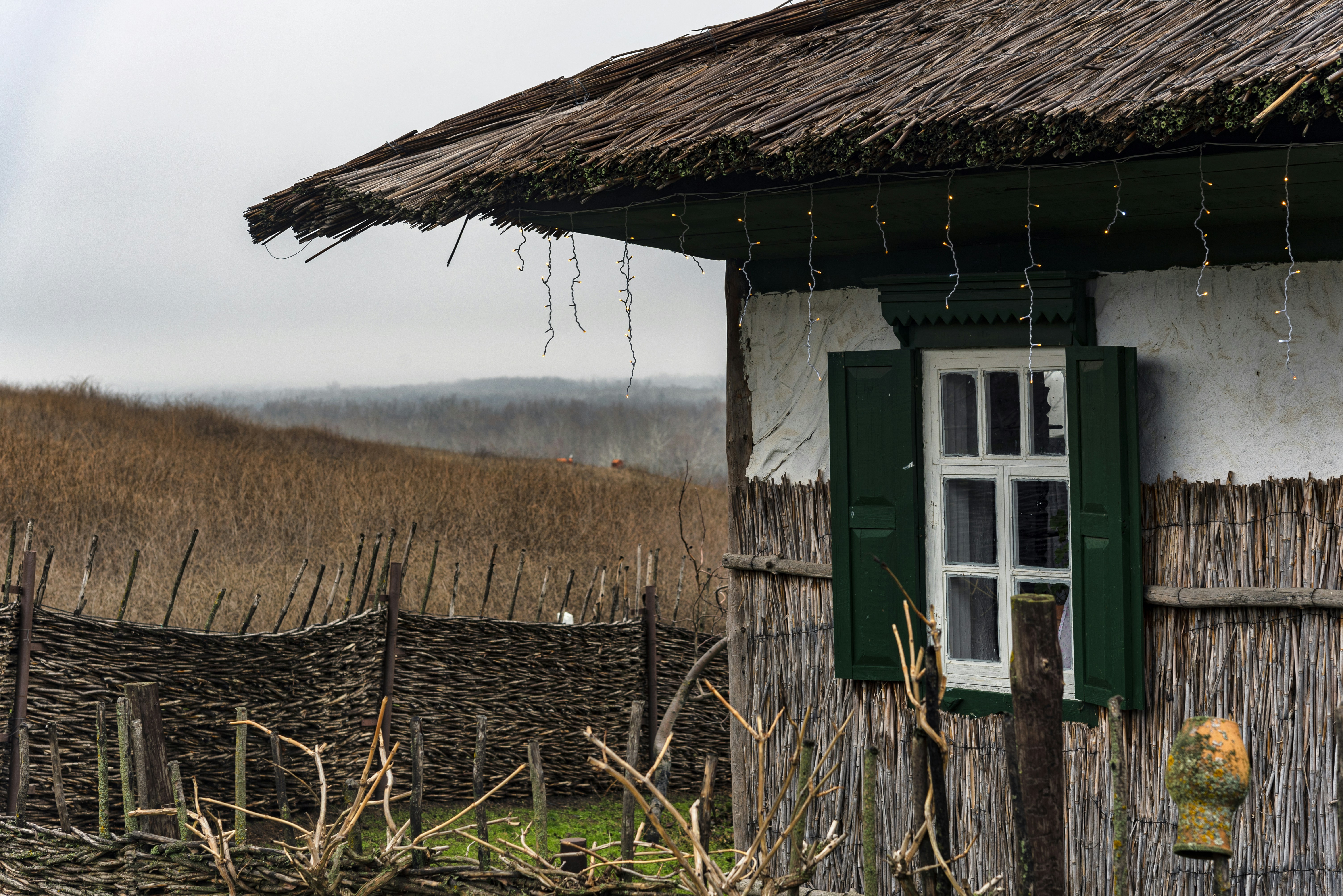 Thatched Roof and Green Shuttered Cottage by the Fence