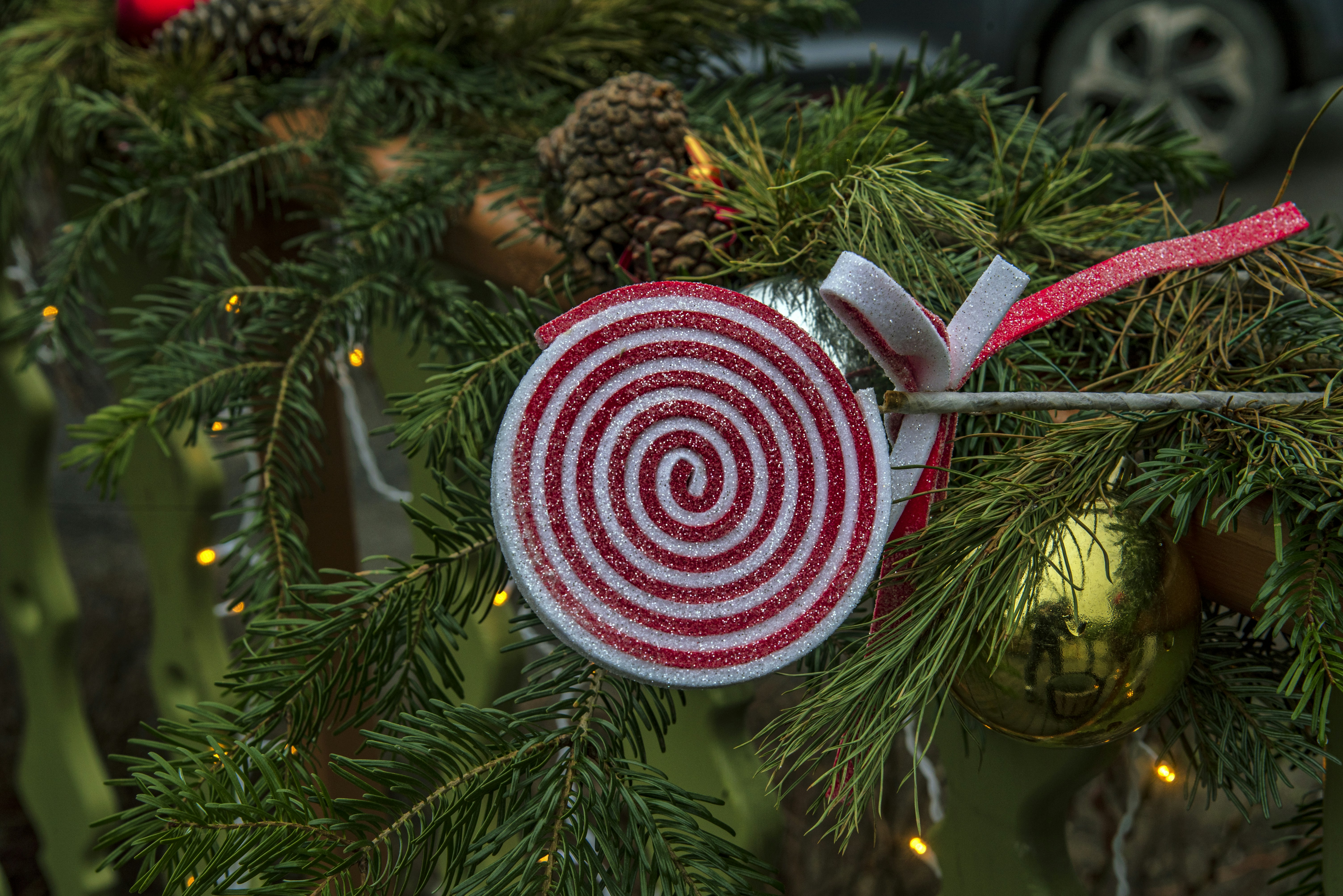 Swirled Candy Ornament on a Festive Fir