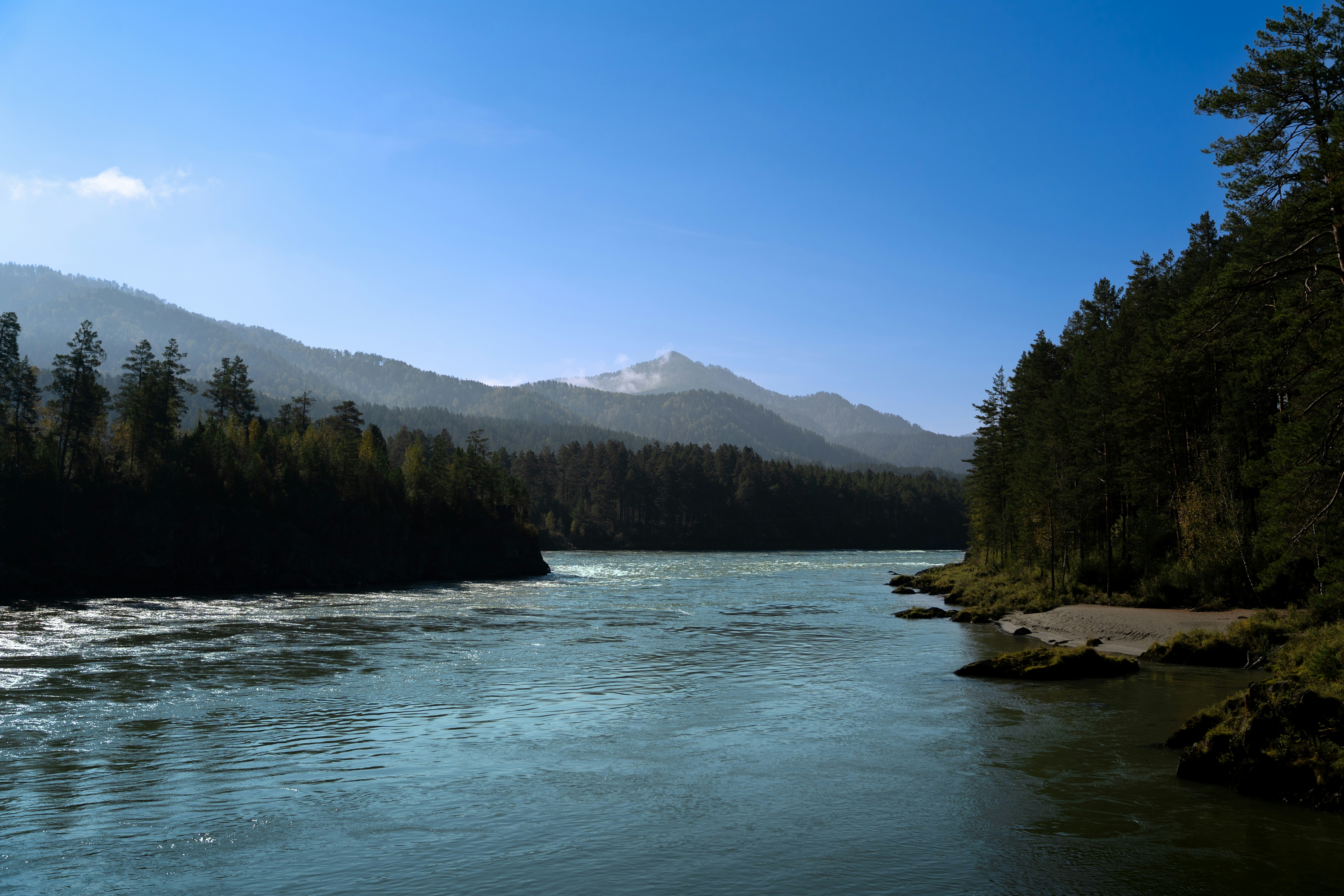 Sunlit River Confluence Between Pine Shards