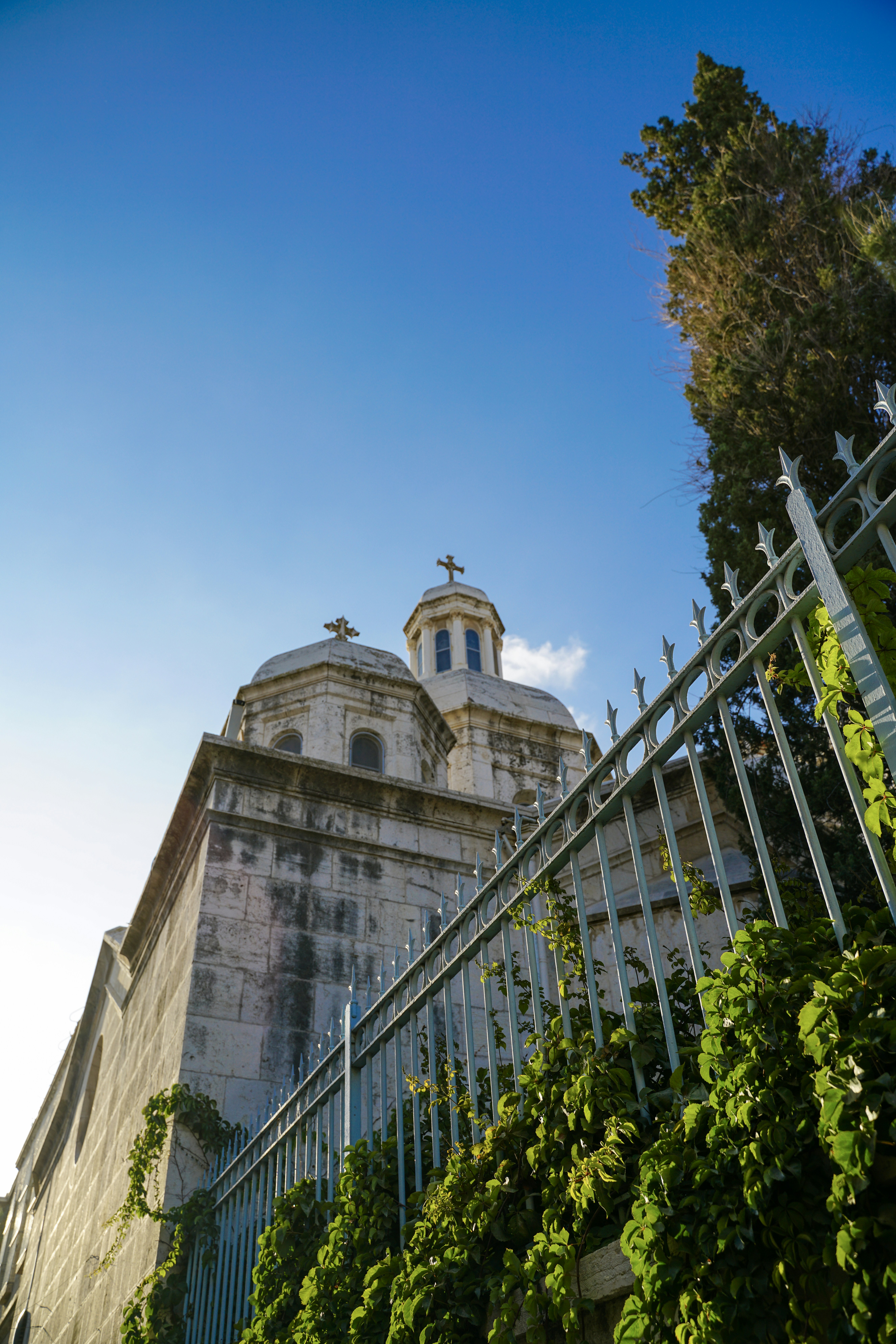 Sunlit Spire: A Gothic Fence and Stone Chapel Framed by Ivy
