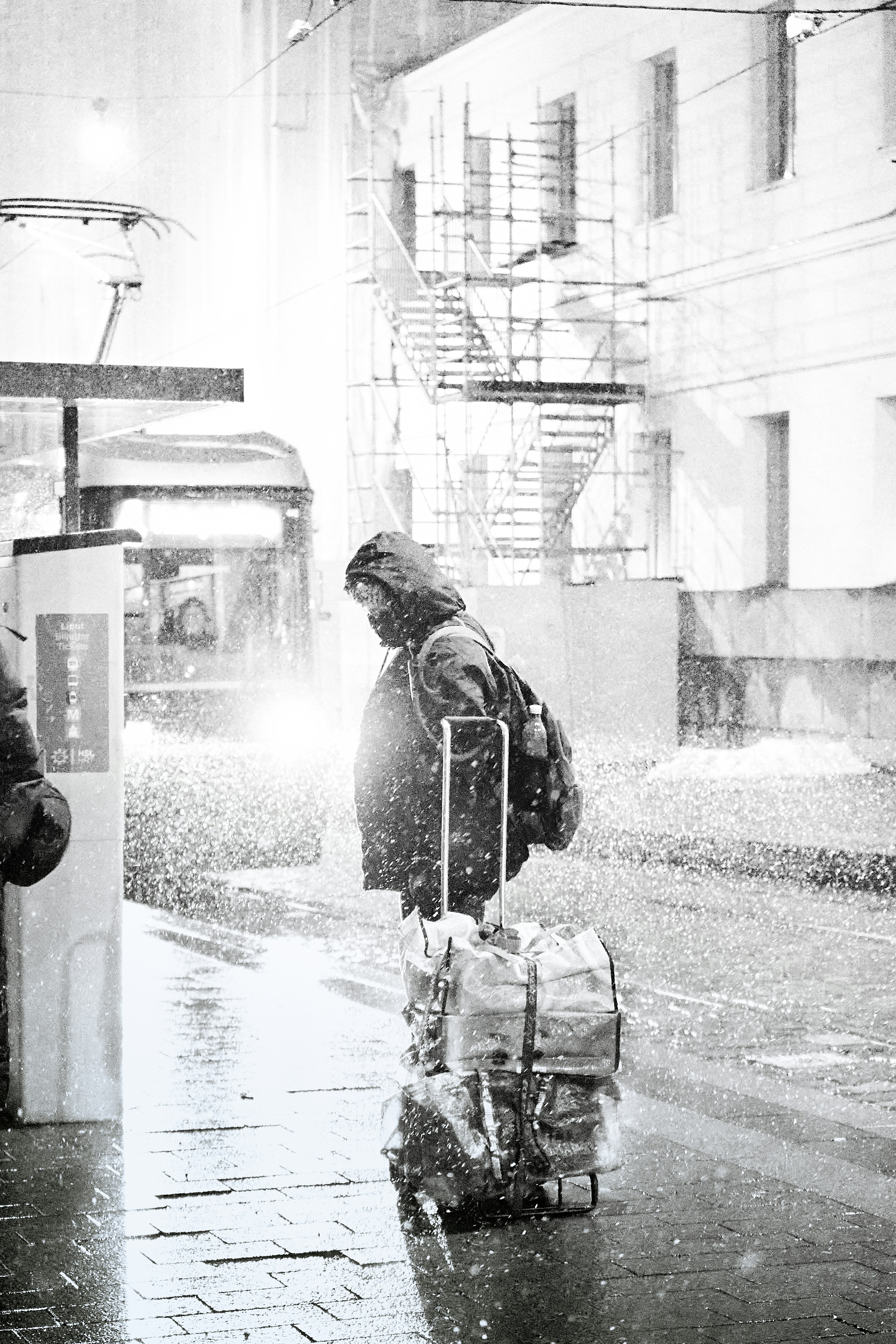 Traveler in Snow: A Quiet Halt on a Wet Street