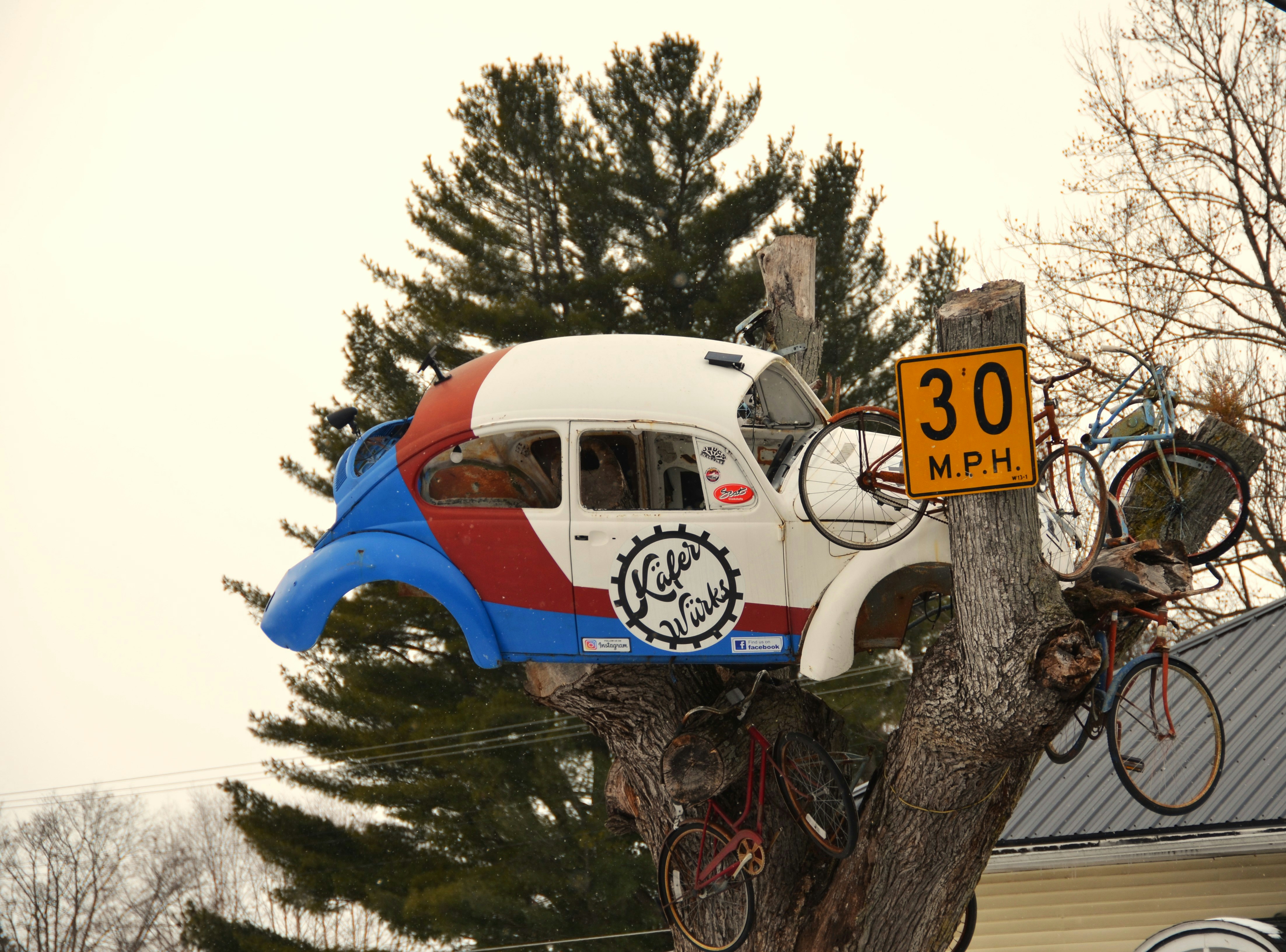 Vintage Beetle Climber: Car in the Tree with Bicycles