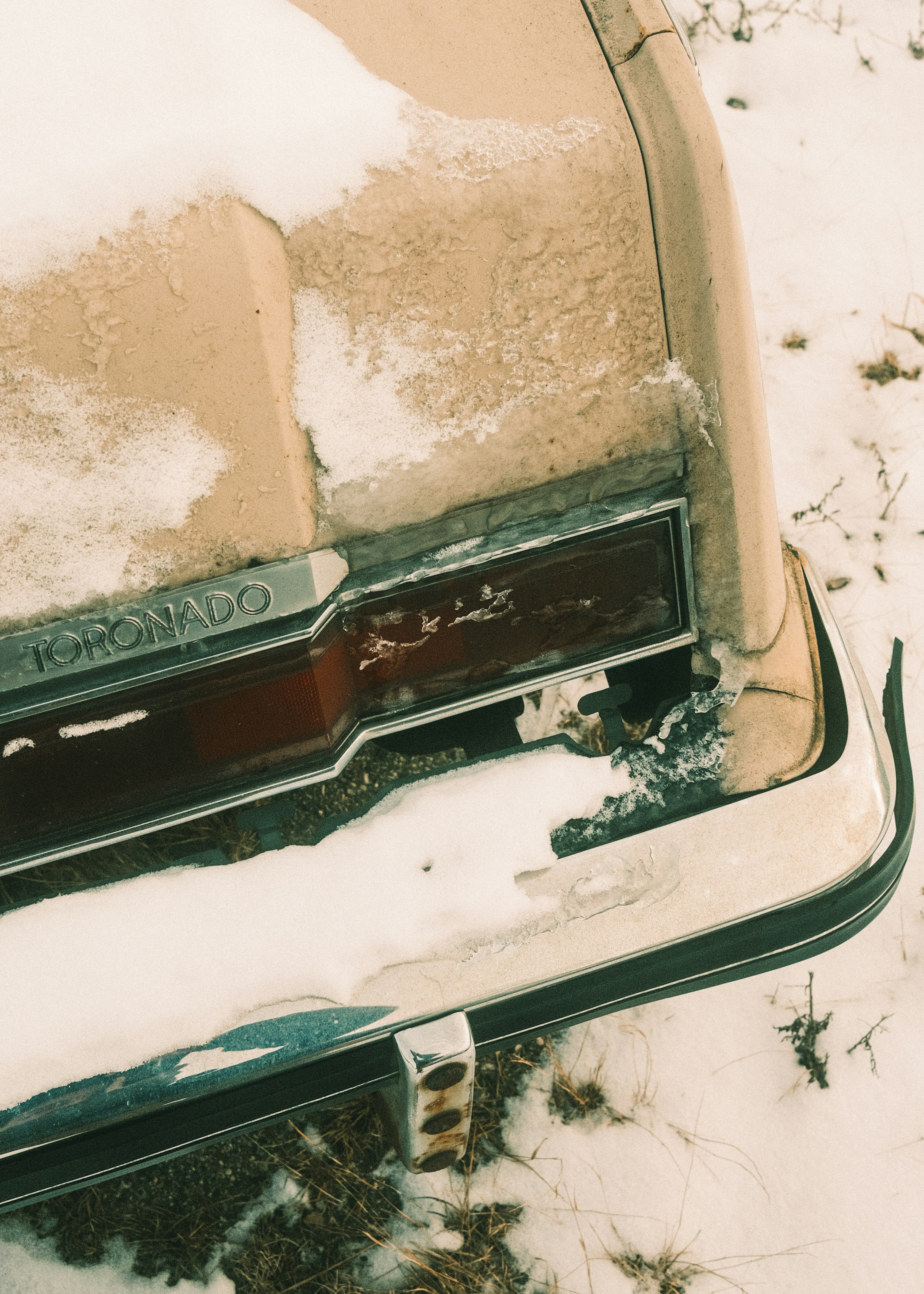 Snow-Scarred Toronado: Evening Sand-Tone Reflections on a Vintage Trunk