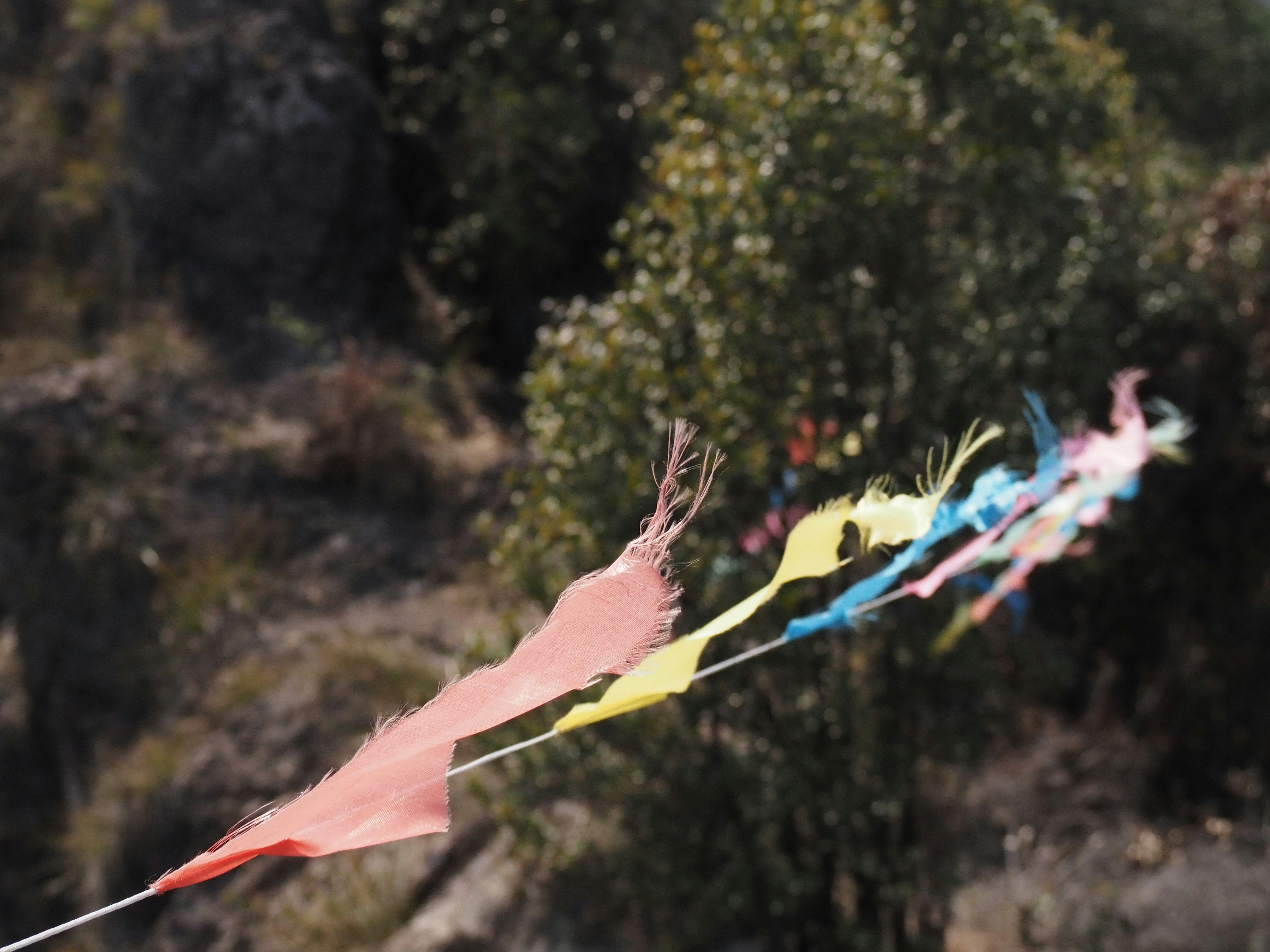 Fluttering Prayer Flags in a Quiet Ridge