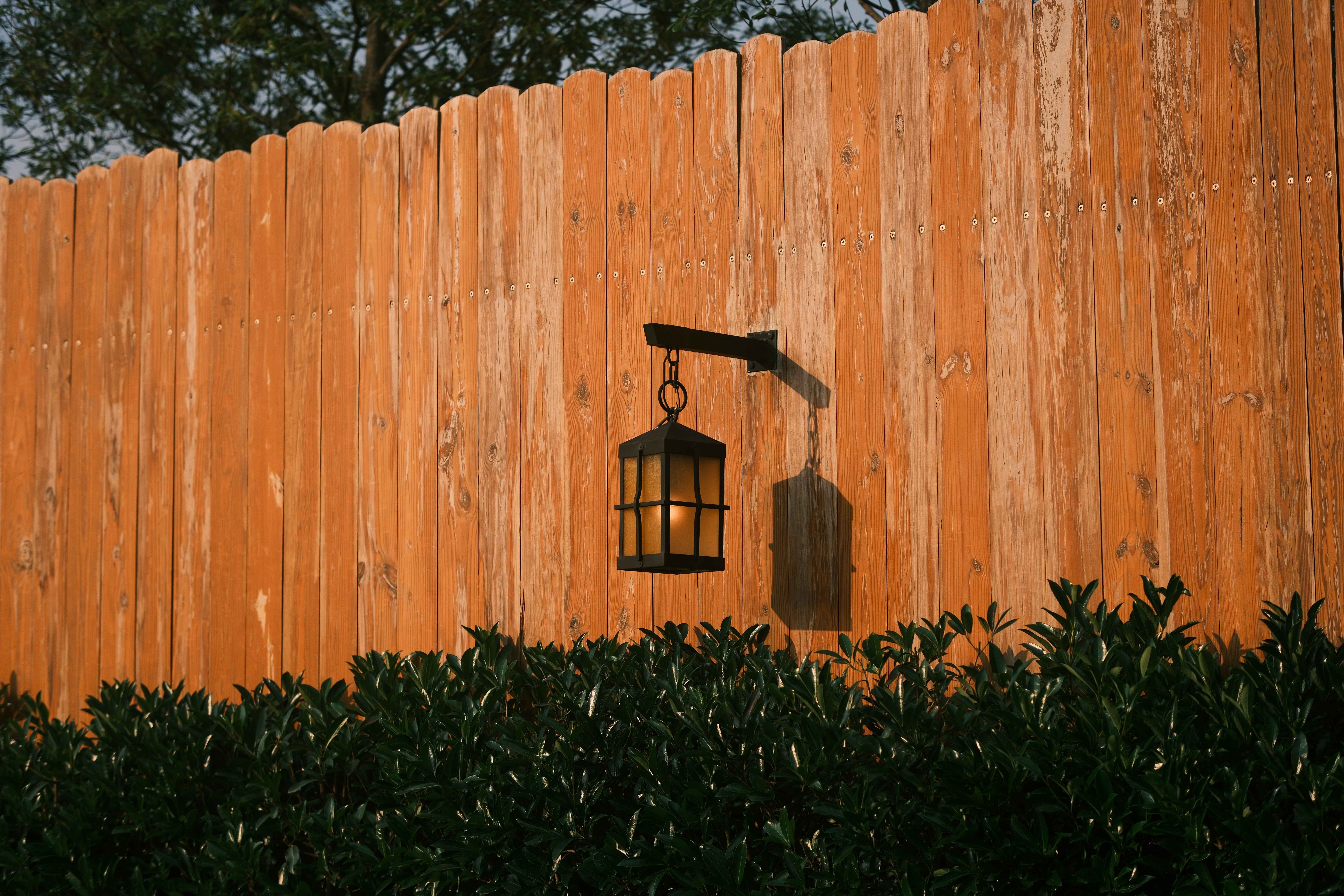 Lantern on a Cedar Wall: Quiet Afternoon in a Garden
