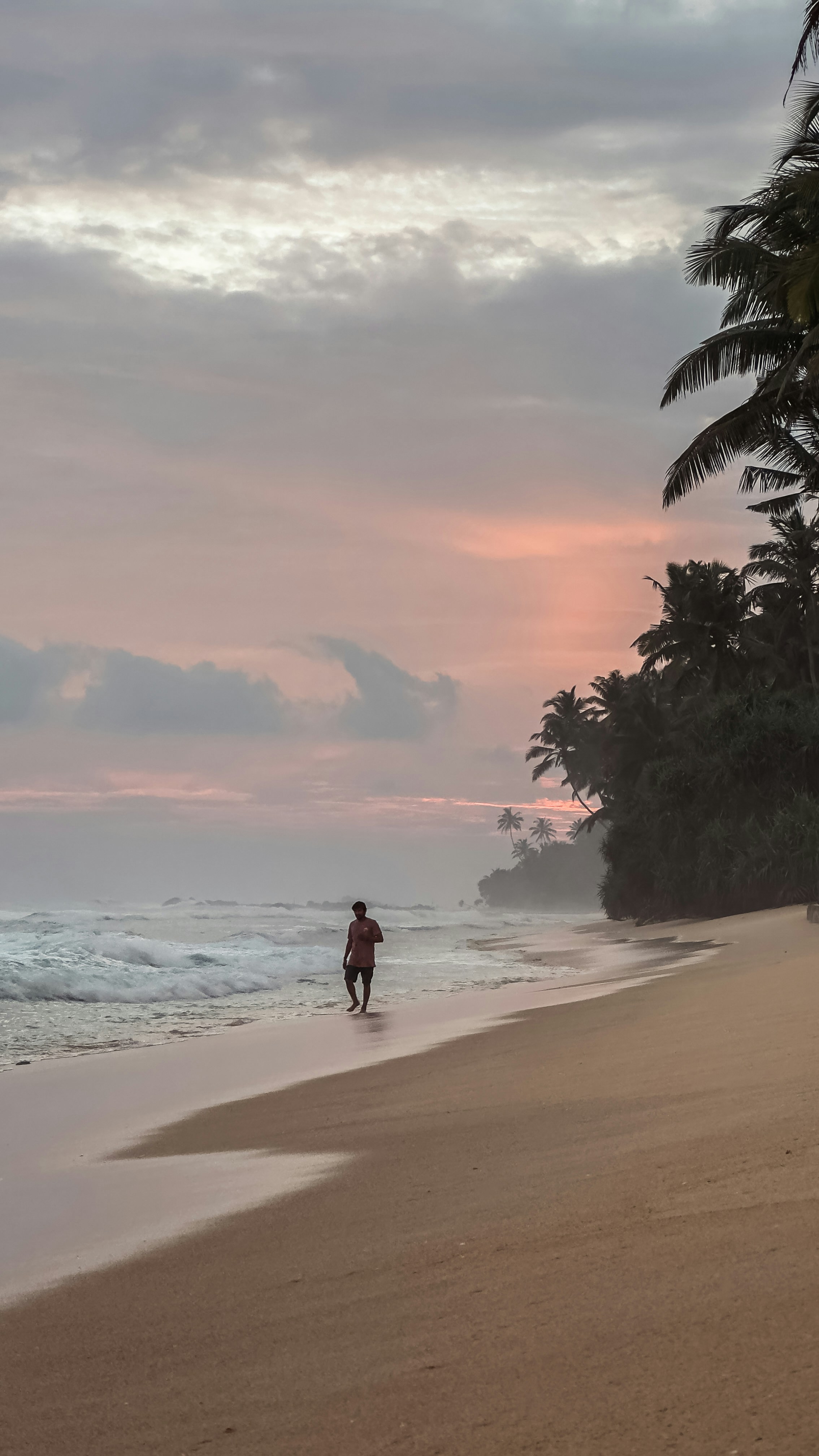 Solitary jogger along a palm-lined shore at dusk