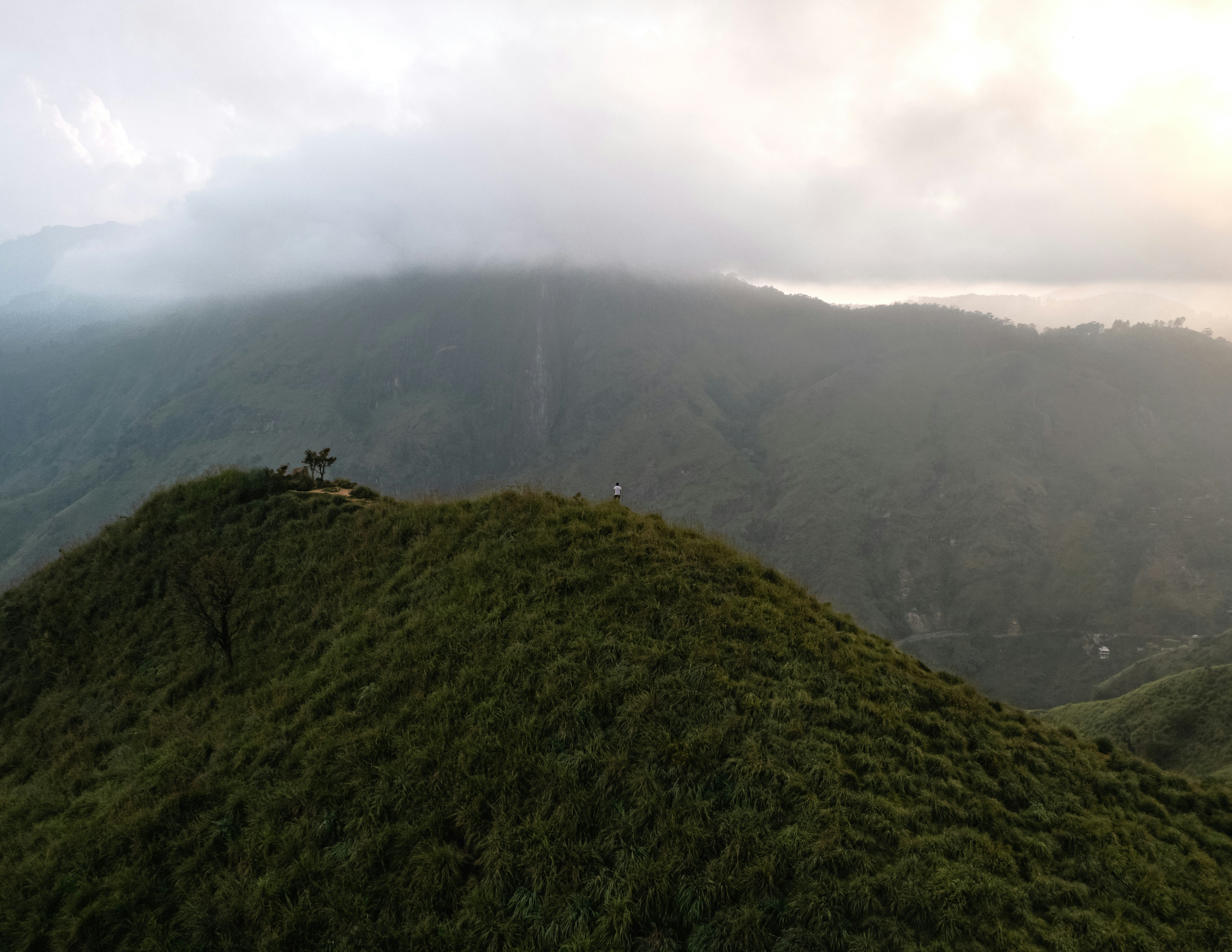 Dawn on the Ridge: A lone lookout atop a verdant hill