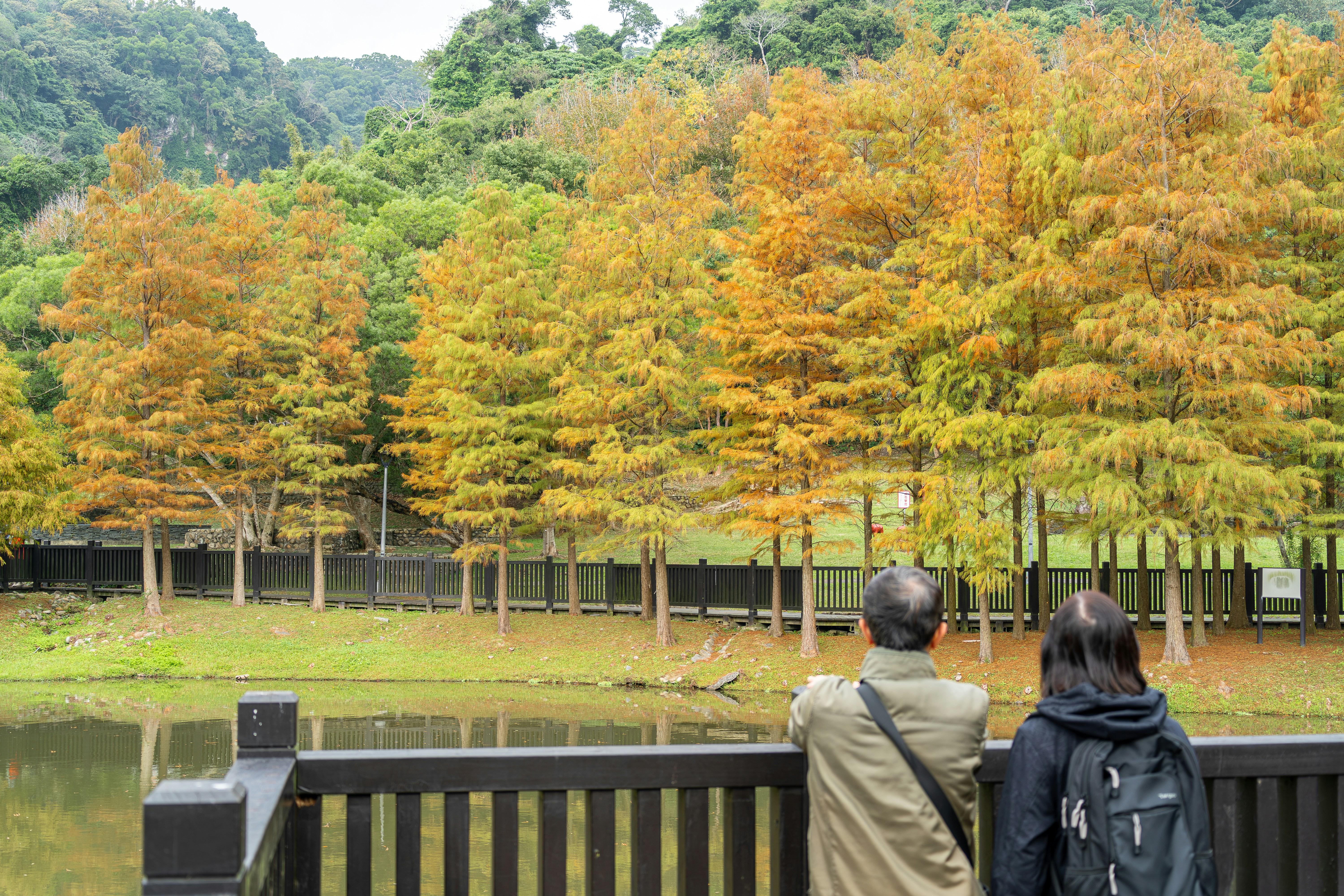 Autumn Riverside: Two Observers Amid Golden Trees