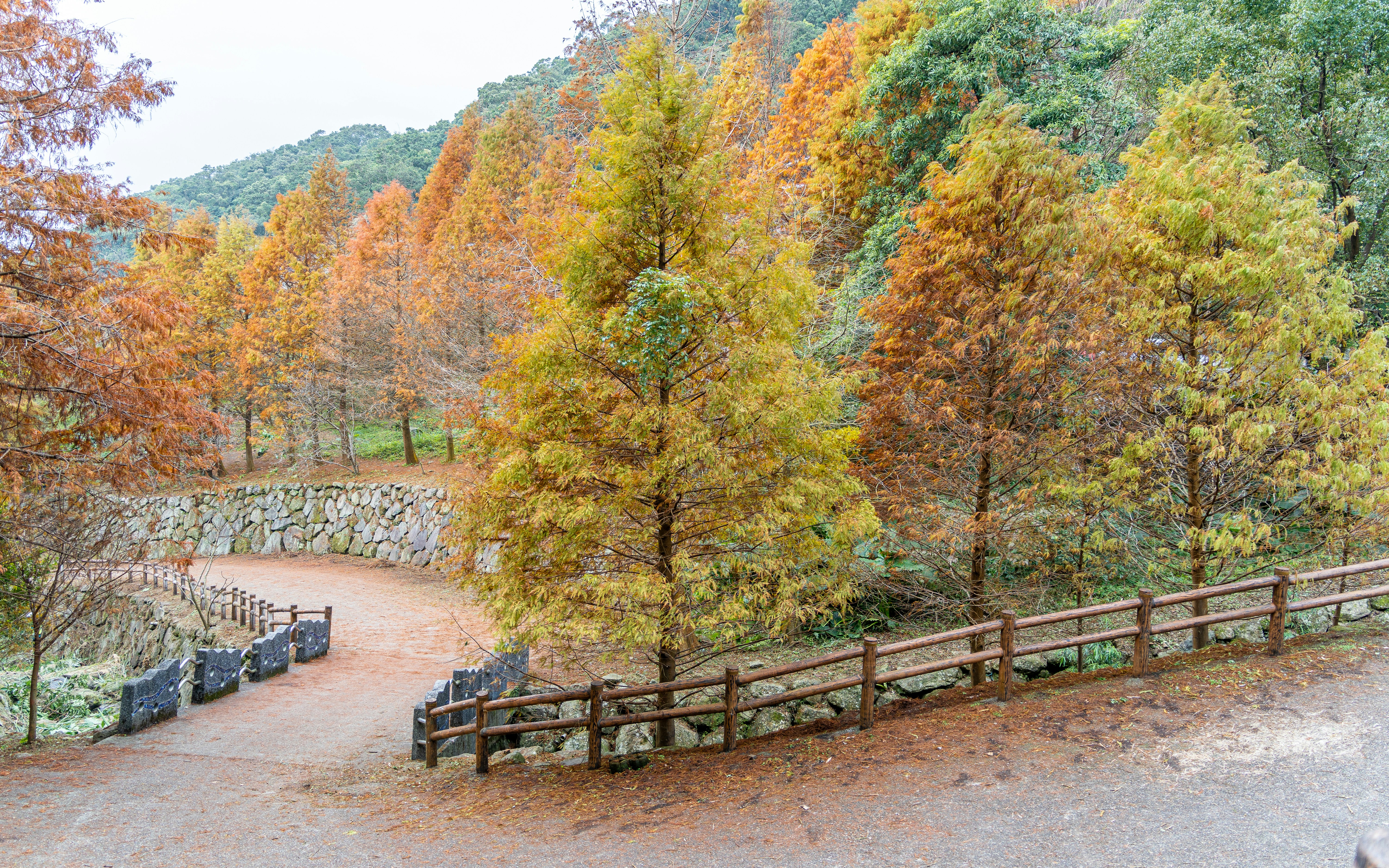 Autumn Lane: A Quiet Path Through Colorful Hills
