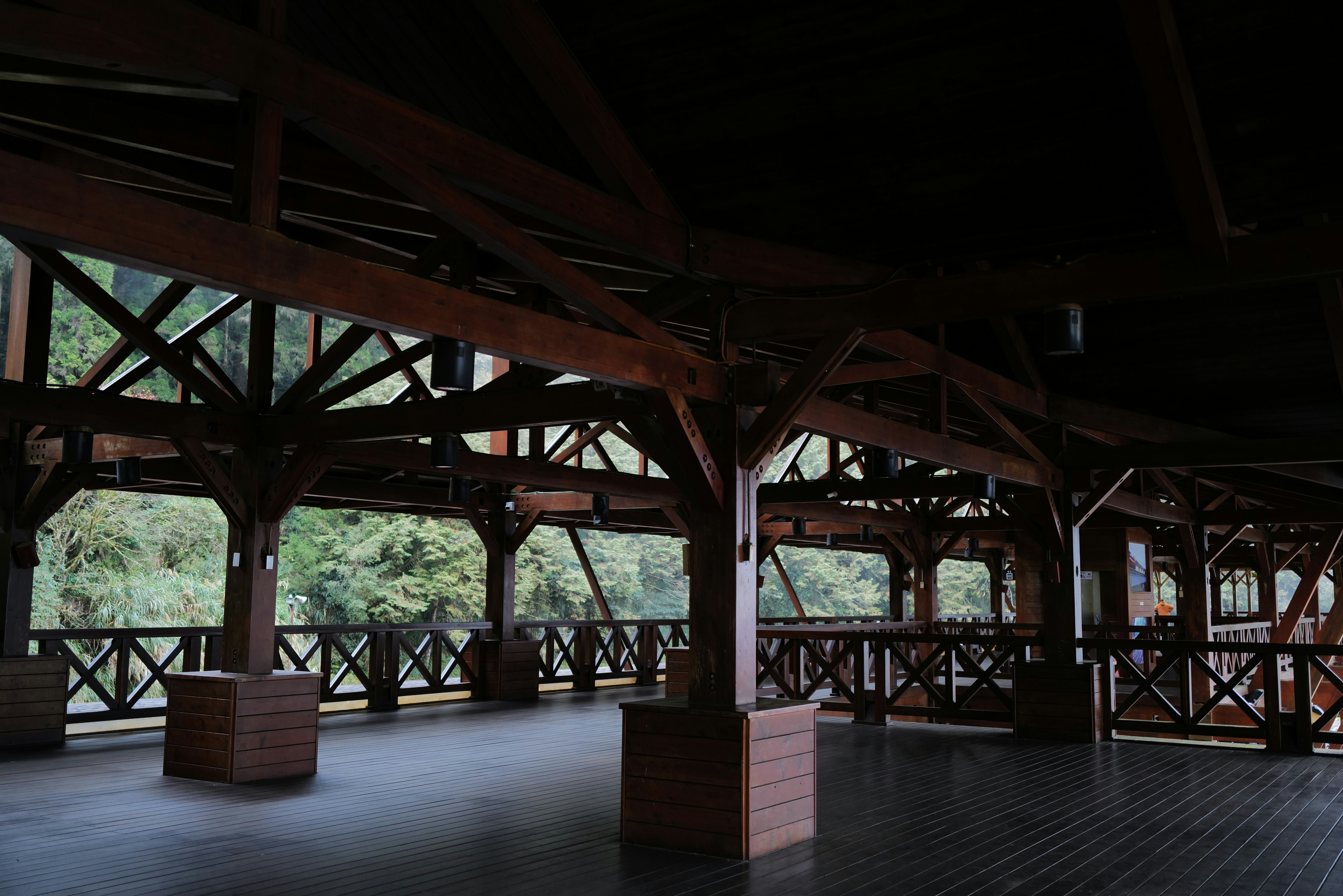 Timber Echoes: Open Pavilion Under The Woodland Beams